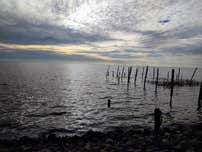 The Old Pavilion RV Park Camping | The Dyrt