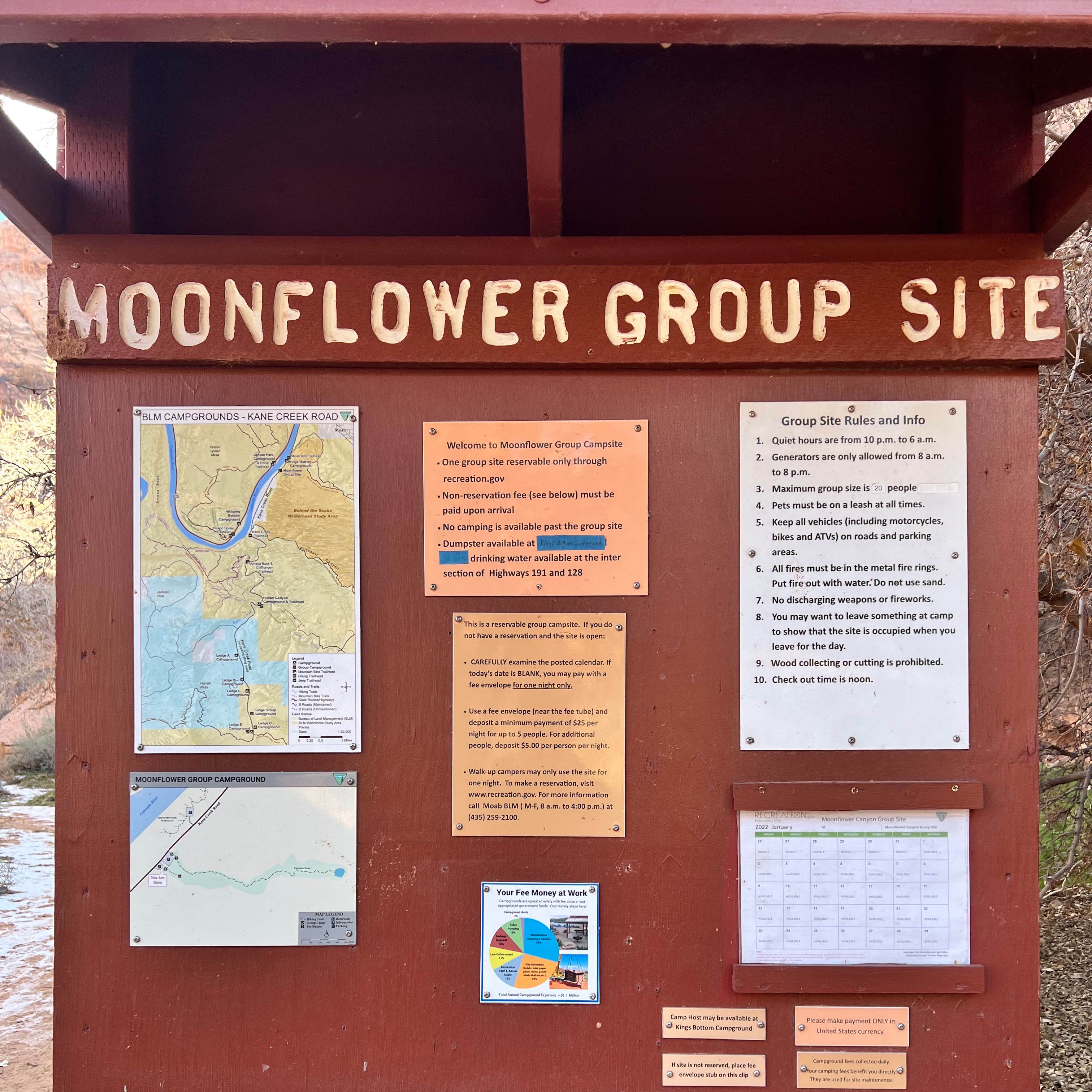 Moonflower Canyon Group Site Camping | Moab, Utah