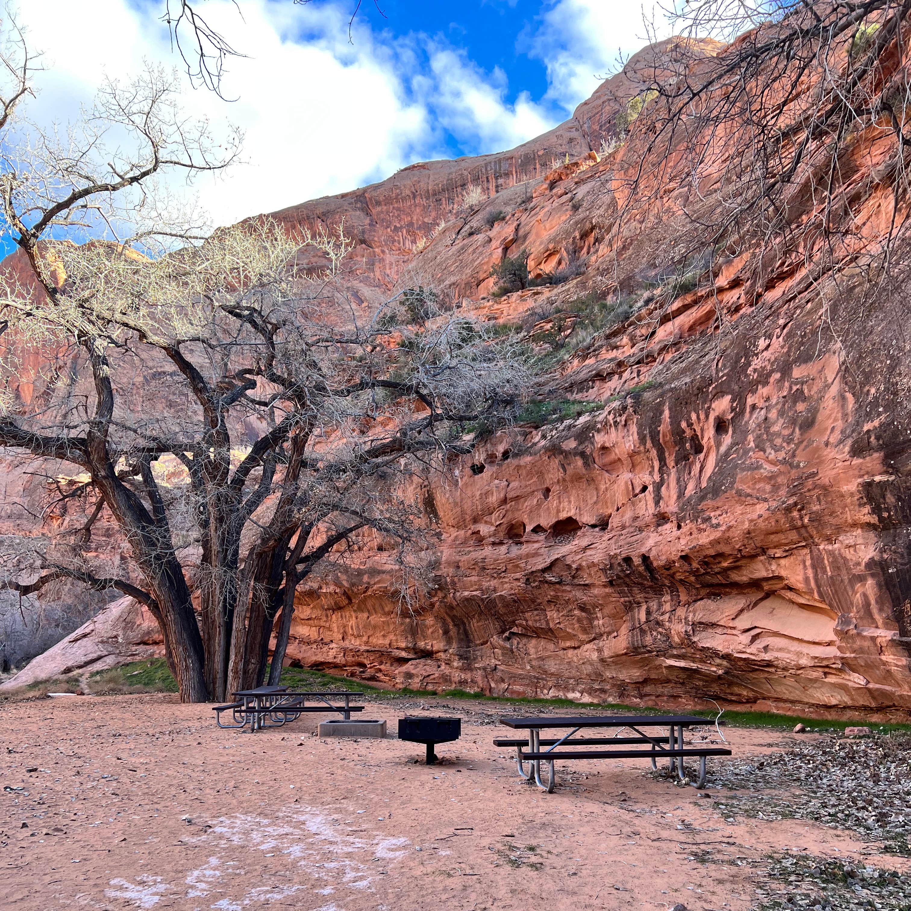Moonflower Canyon Group Site Camping | Moab, Utah