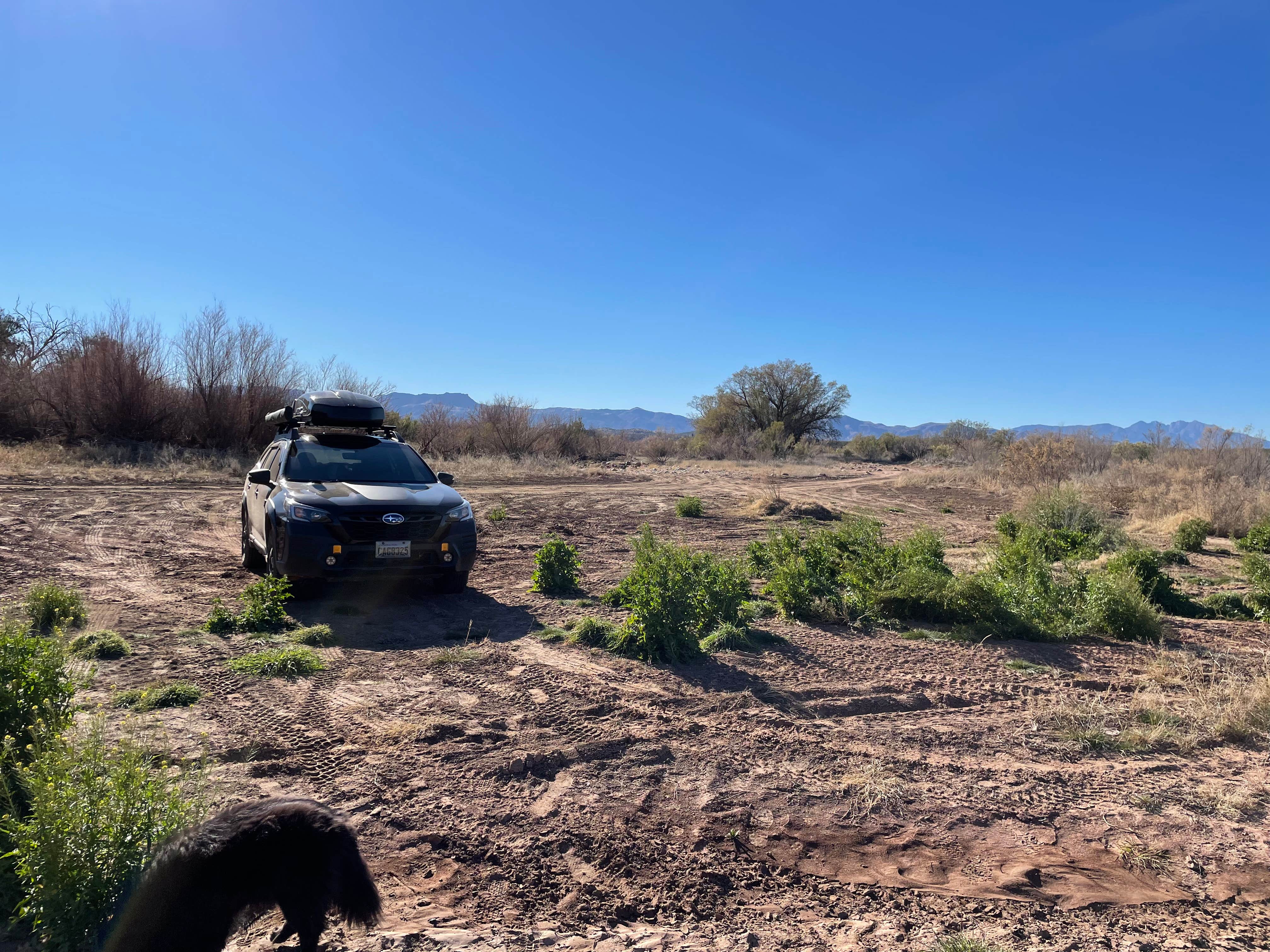 Diversion Dam Rafter Take-Out Camping | Roosevelt, AZ