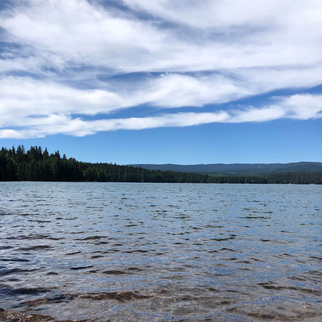 North Arm Campground | Government Camp, Oregon