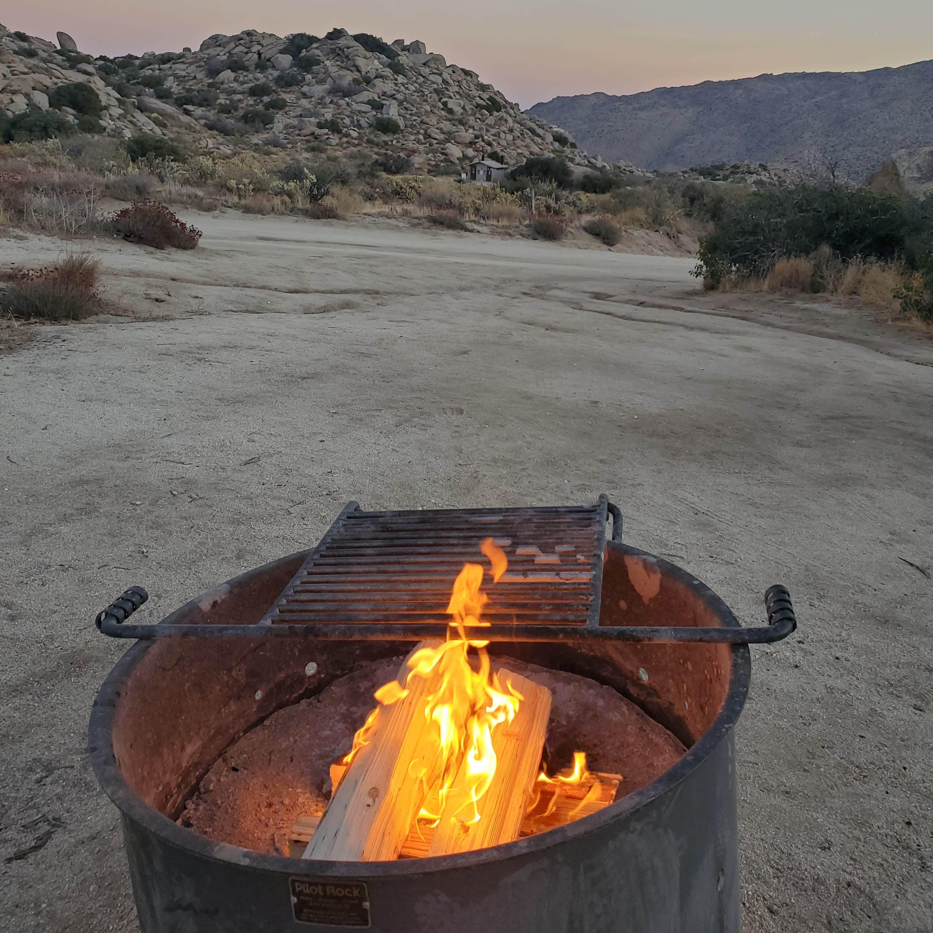 Culp Valley Primitive Campground — Anza-Borrego Desert State Park ...