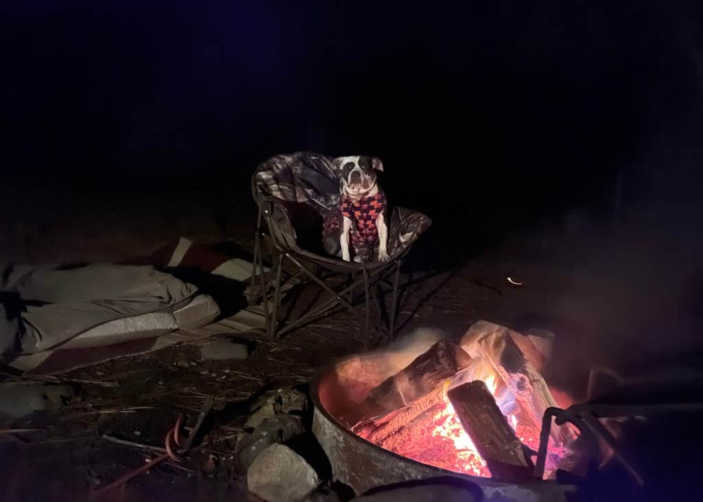 Lumsden Bridge Campground Camping | The Dyrt