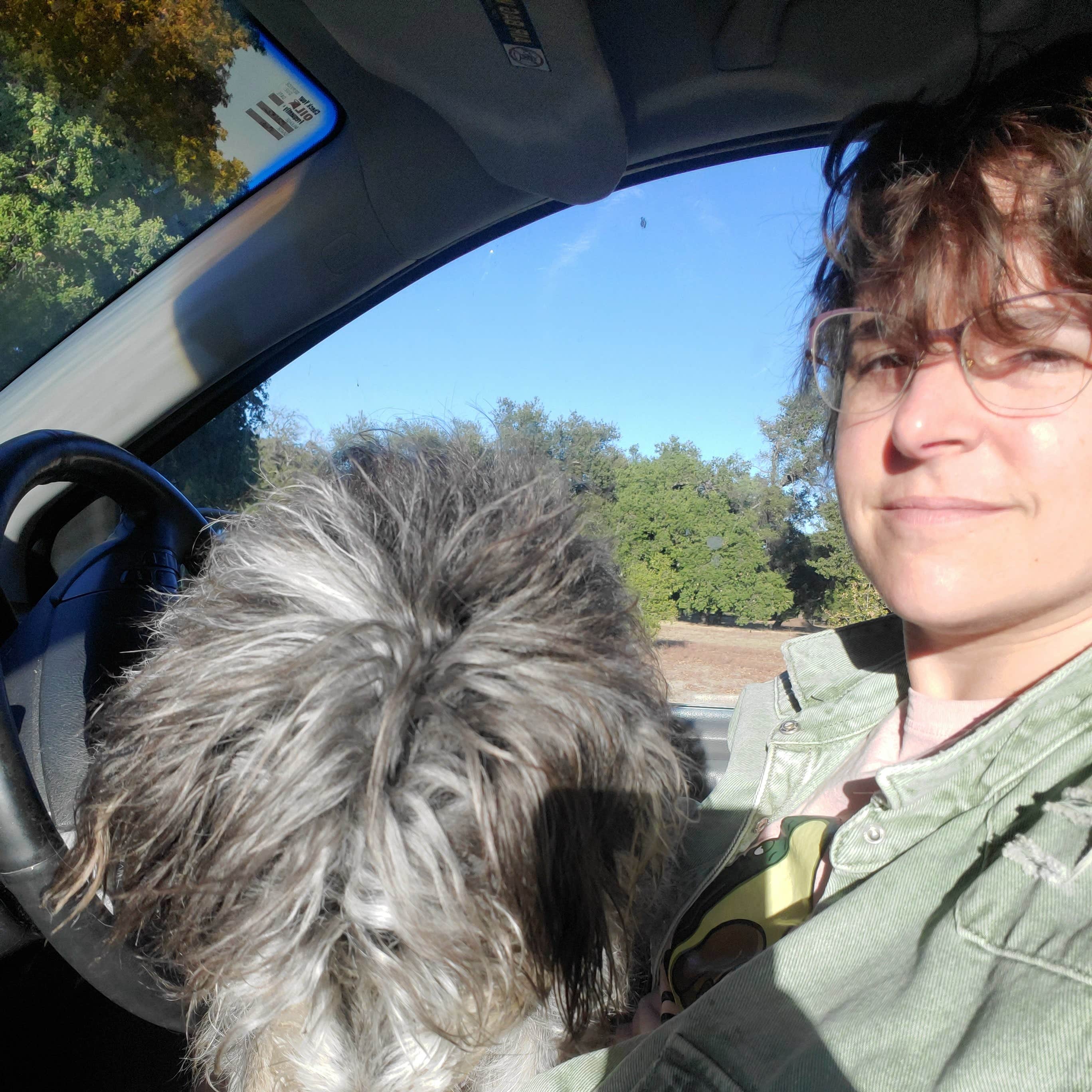 Potrero County Park Camping | Potrero, California