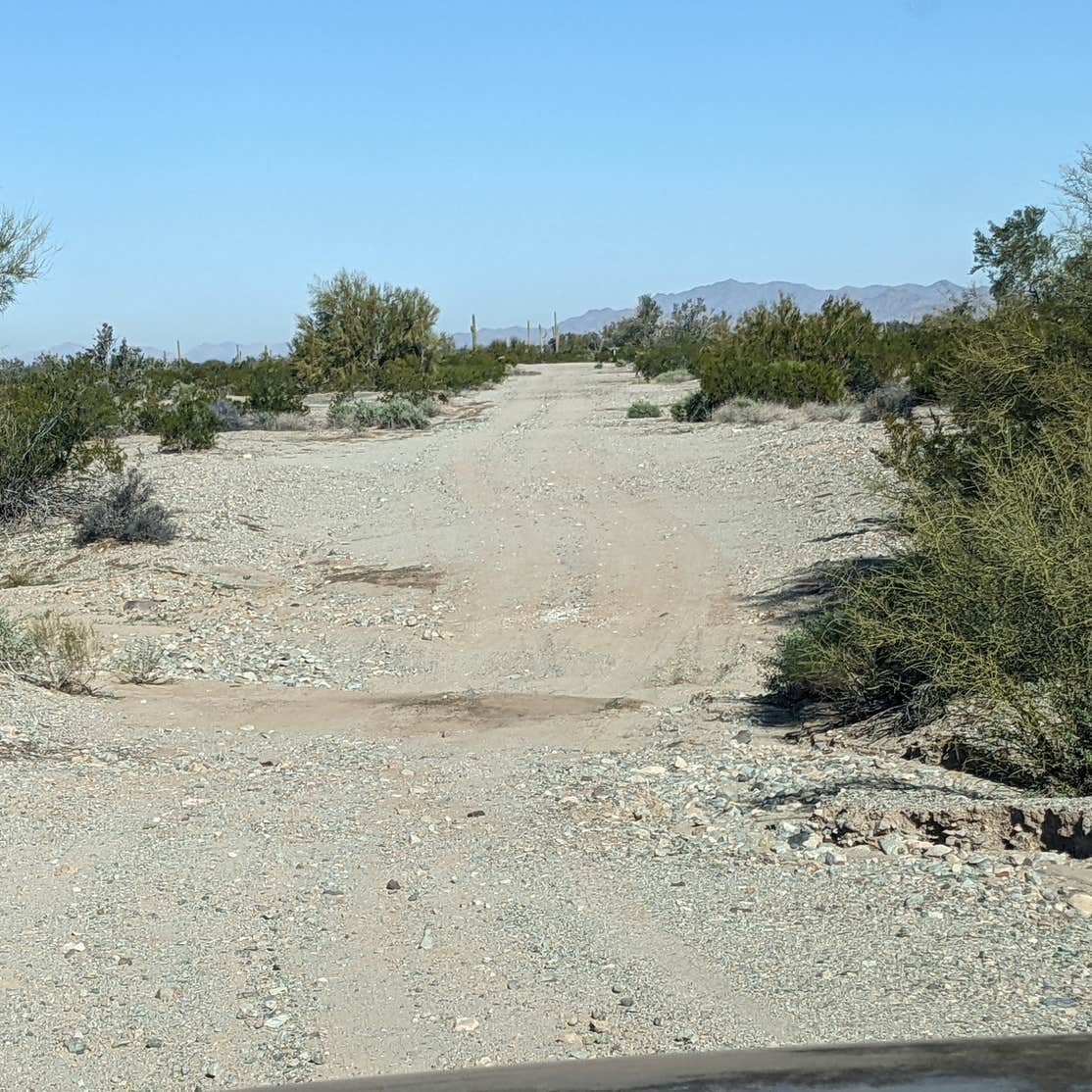 BLM Sonoran Desert National Monument - BLM road 8035 access Camping ...