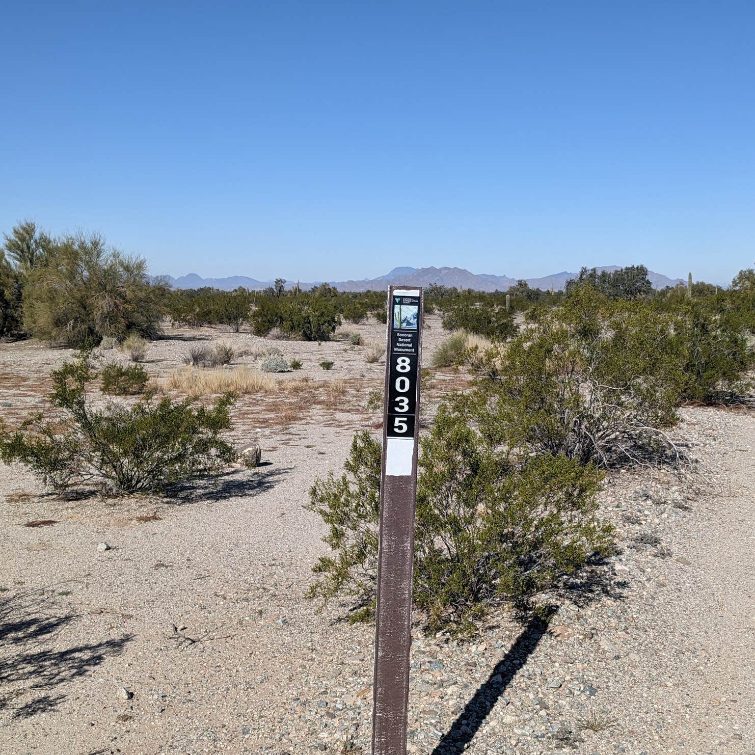 BLM Sonoran Desert National Monument - BLM road 8035 access Camping ...