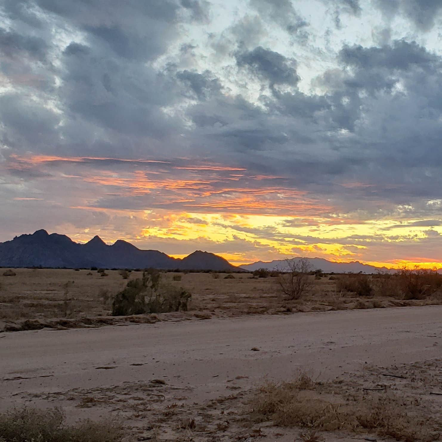 Copper Mountain RV Park | Wellton, Arizona