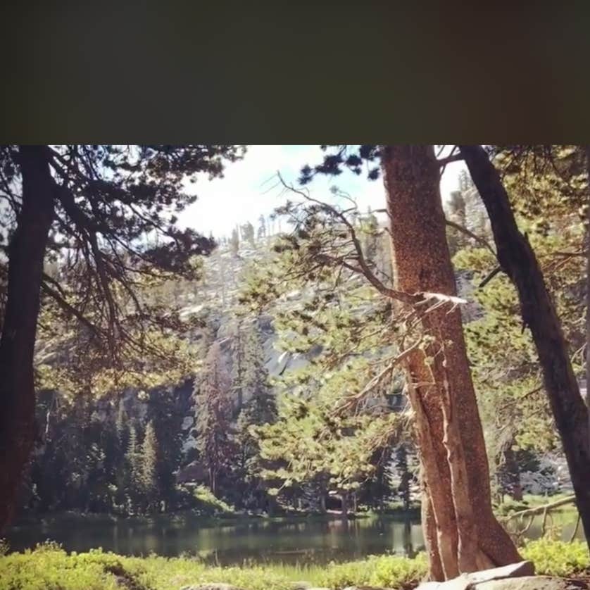 Weaver Lake Trail Campsites Camping | The Dyrt