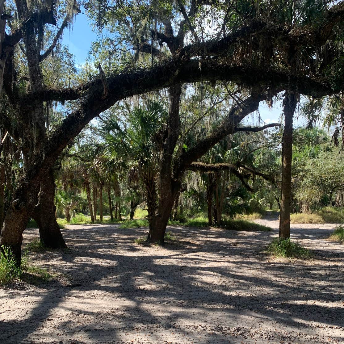 Peace River Campground | Arcadia, Florida