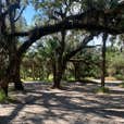Peace River Campground | Arcadia, Florida