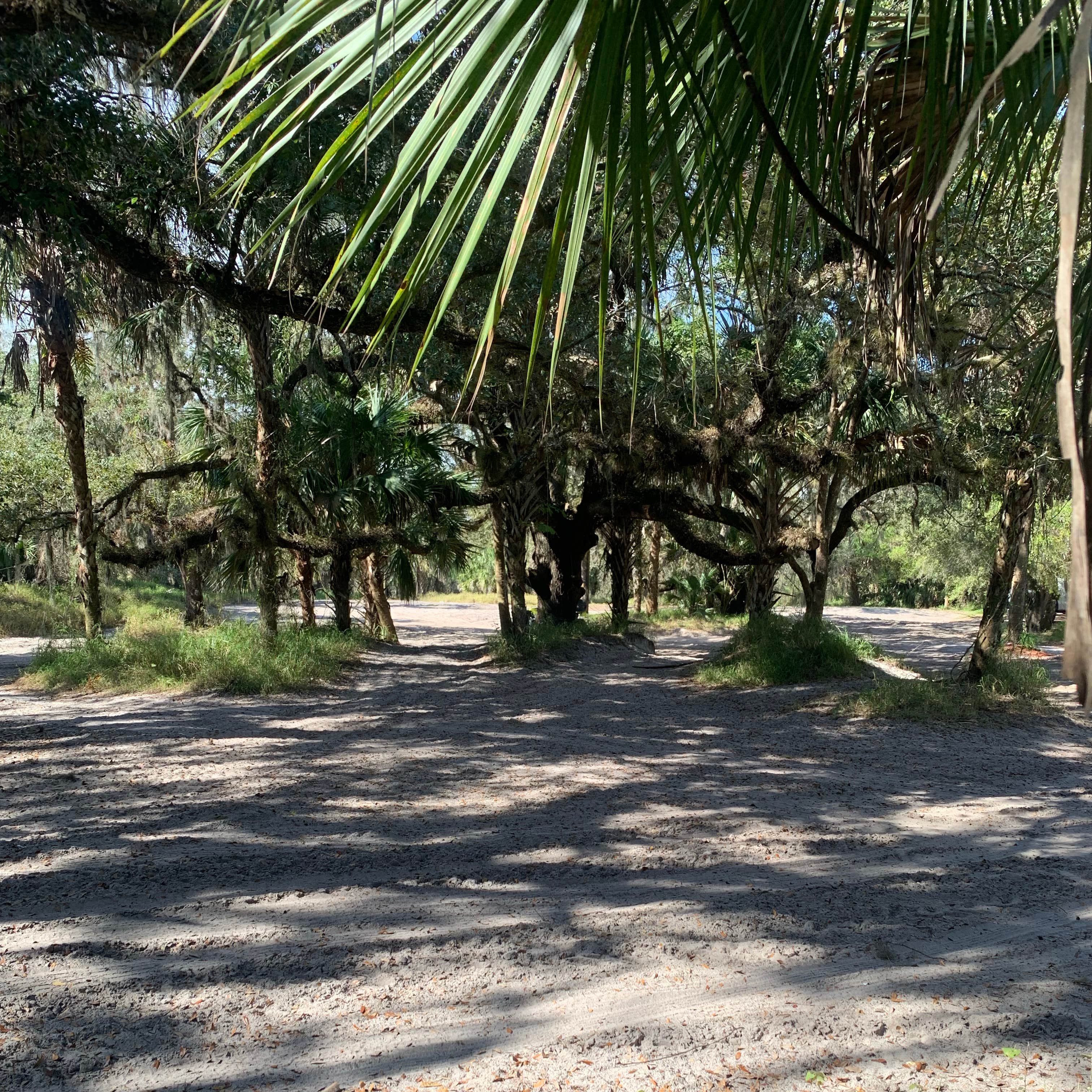 Peace River Campground | Arcadia, Florida