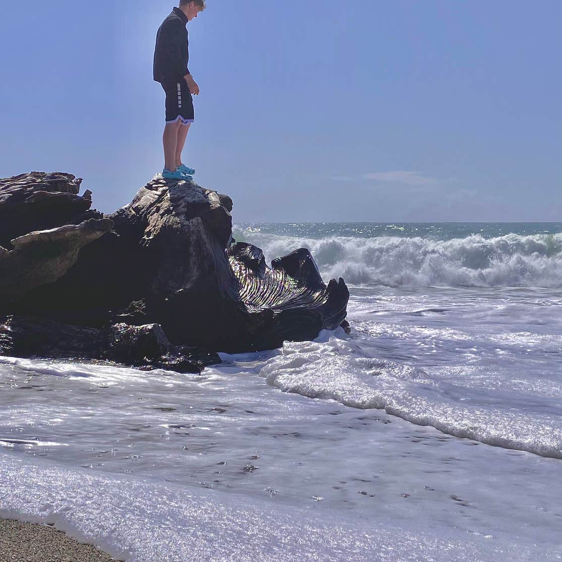 Navarro Beach Campground — Navarro River Redwoods State Park | Albion ...