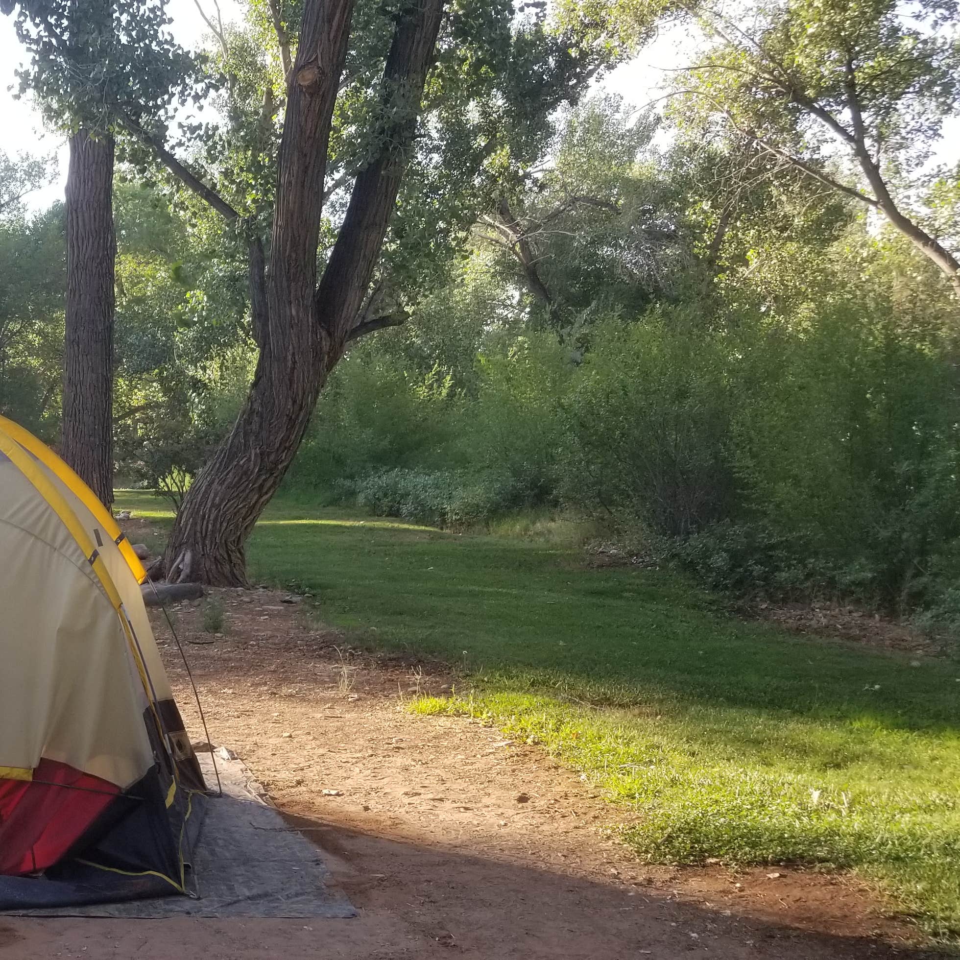 Up the Creek Campground | Moab, Utah