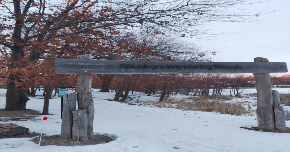 Wickiup Hill Primitive Campsite | Toddville, Iowa