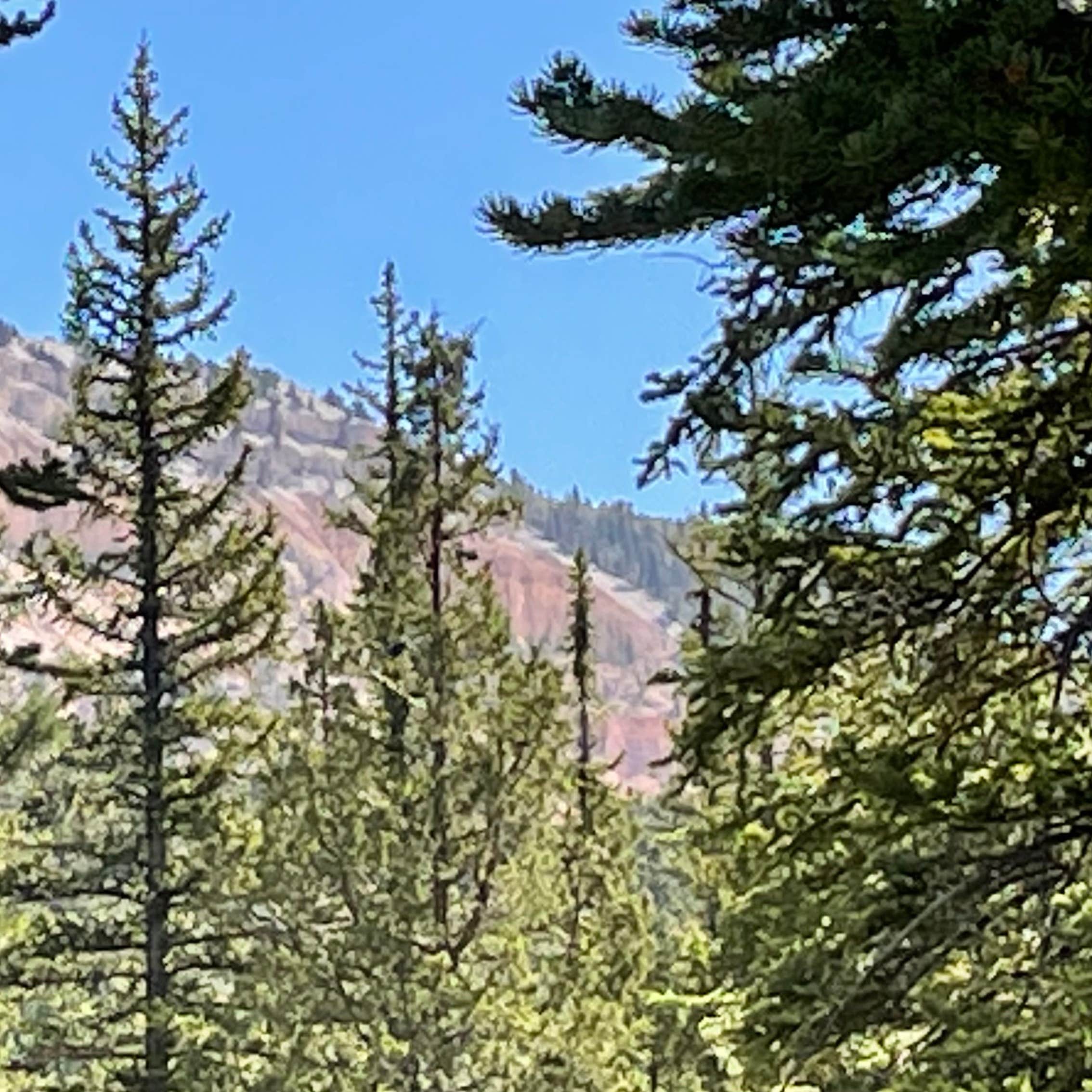 Pine Lake Campground | Tropic, Utah