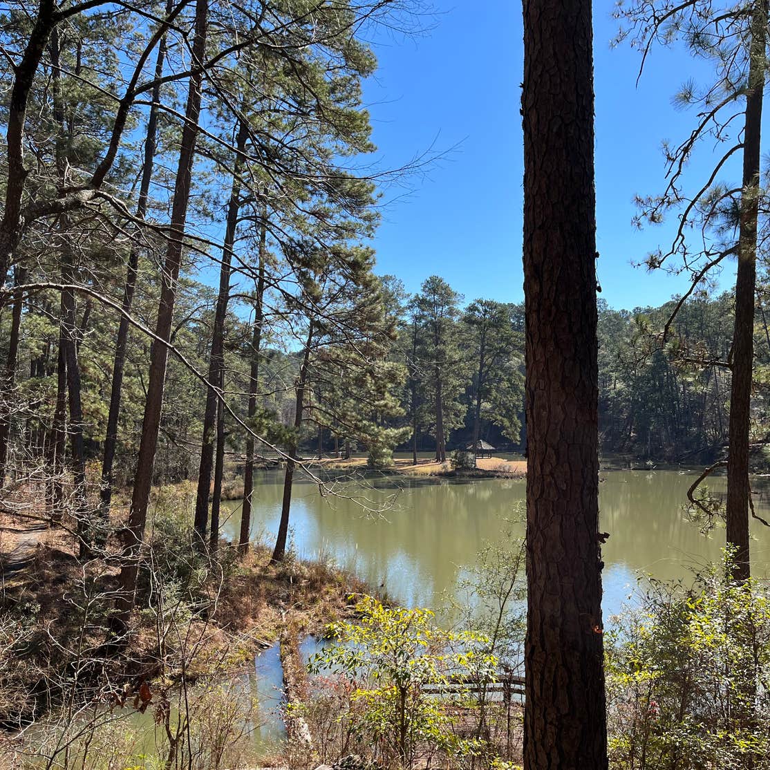 Clear Springs Lake Rec Area NF Campground | Homochitto National Forest ...