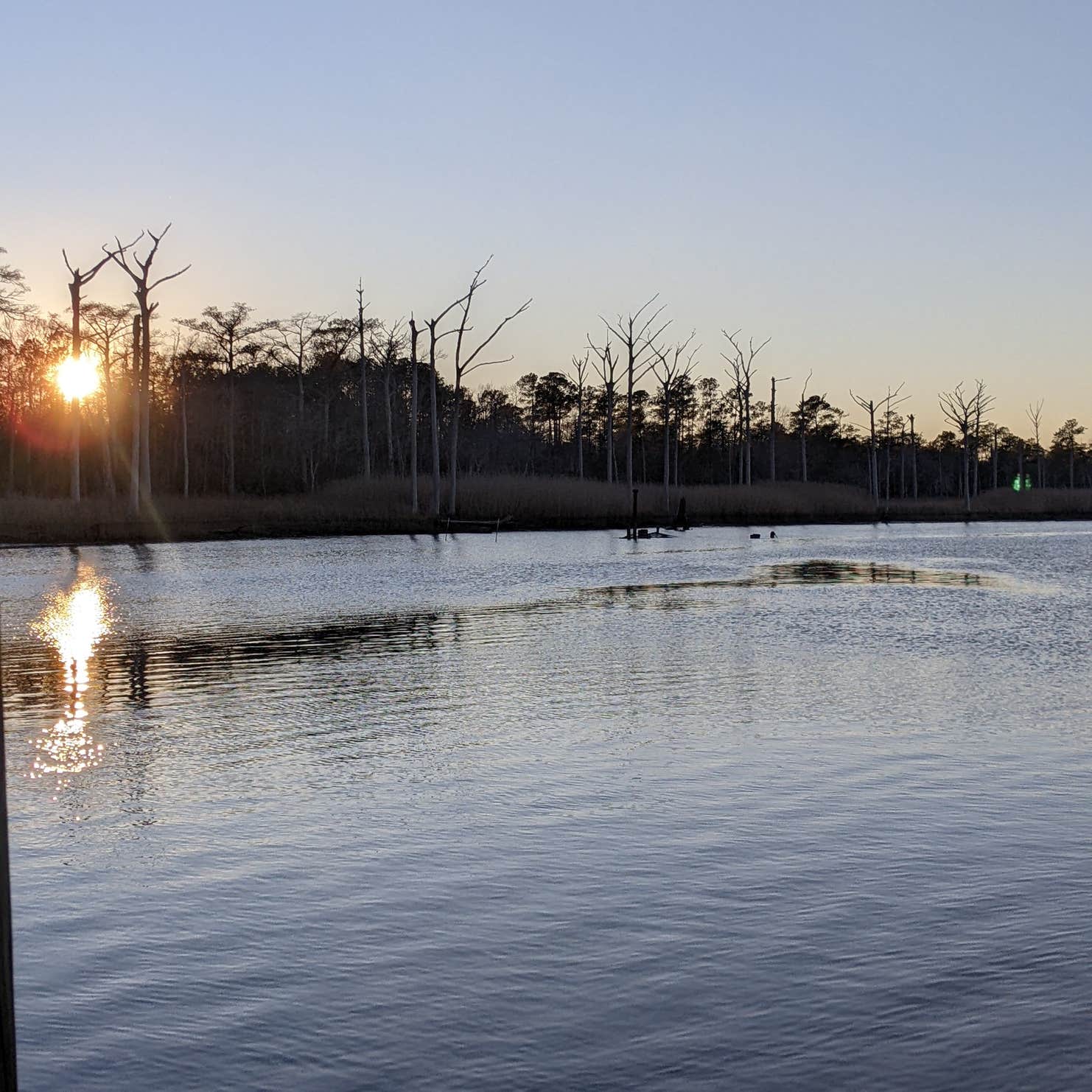 Hidden Marina & Campground | Georgetown, South Carolina