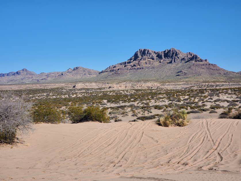 Hot Well Dunes Recreation Area Camping | The Dyrt