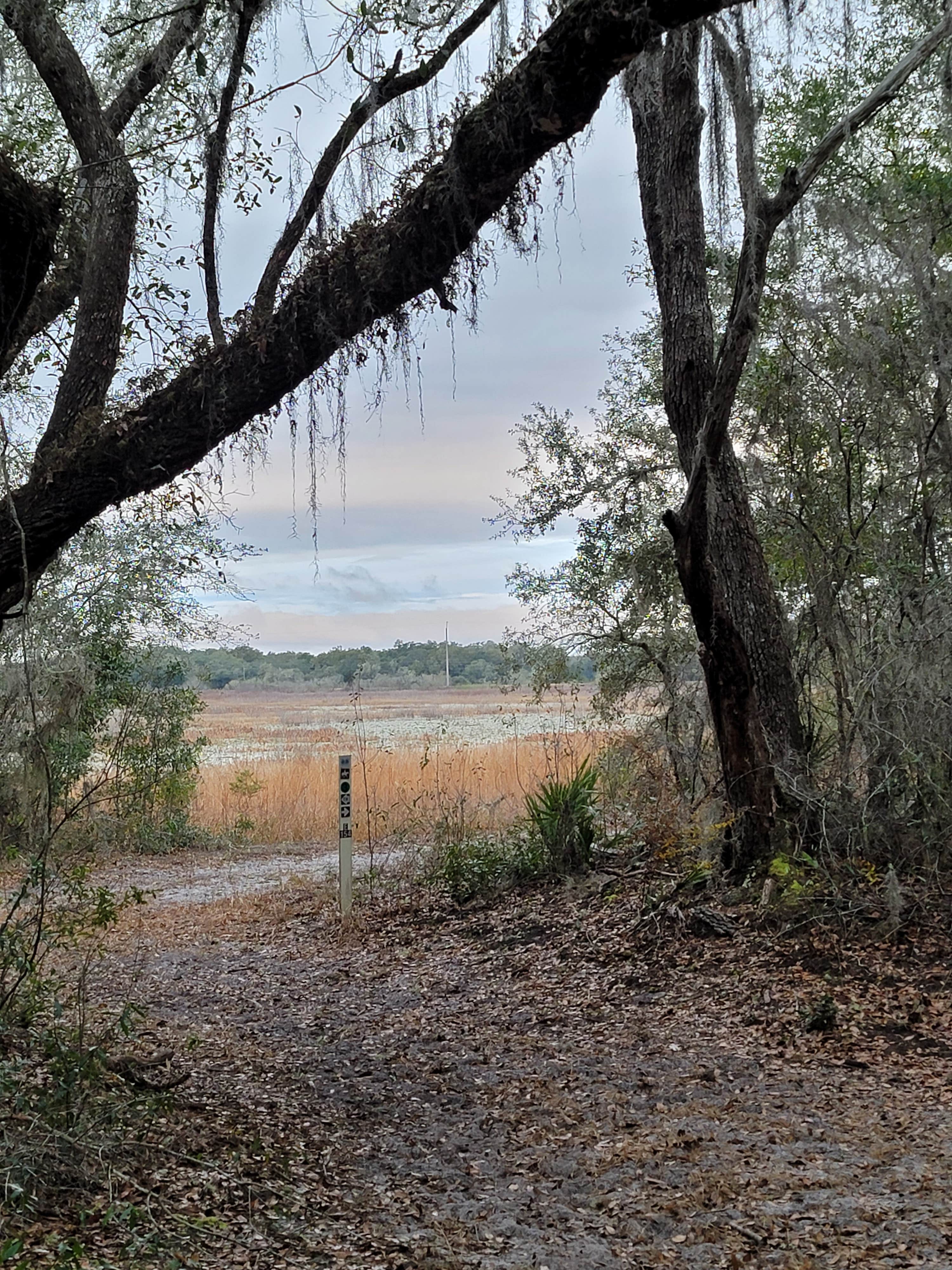 Ross Prairie Campground | Hernando, Florida