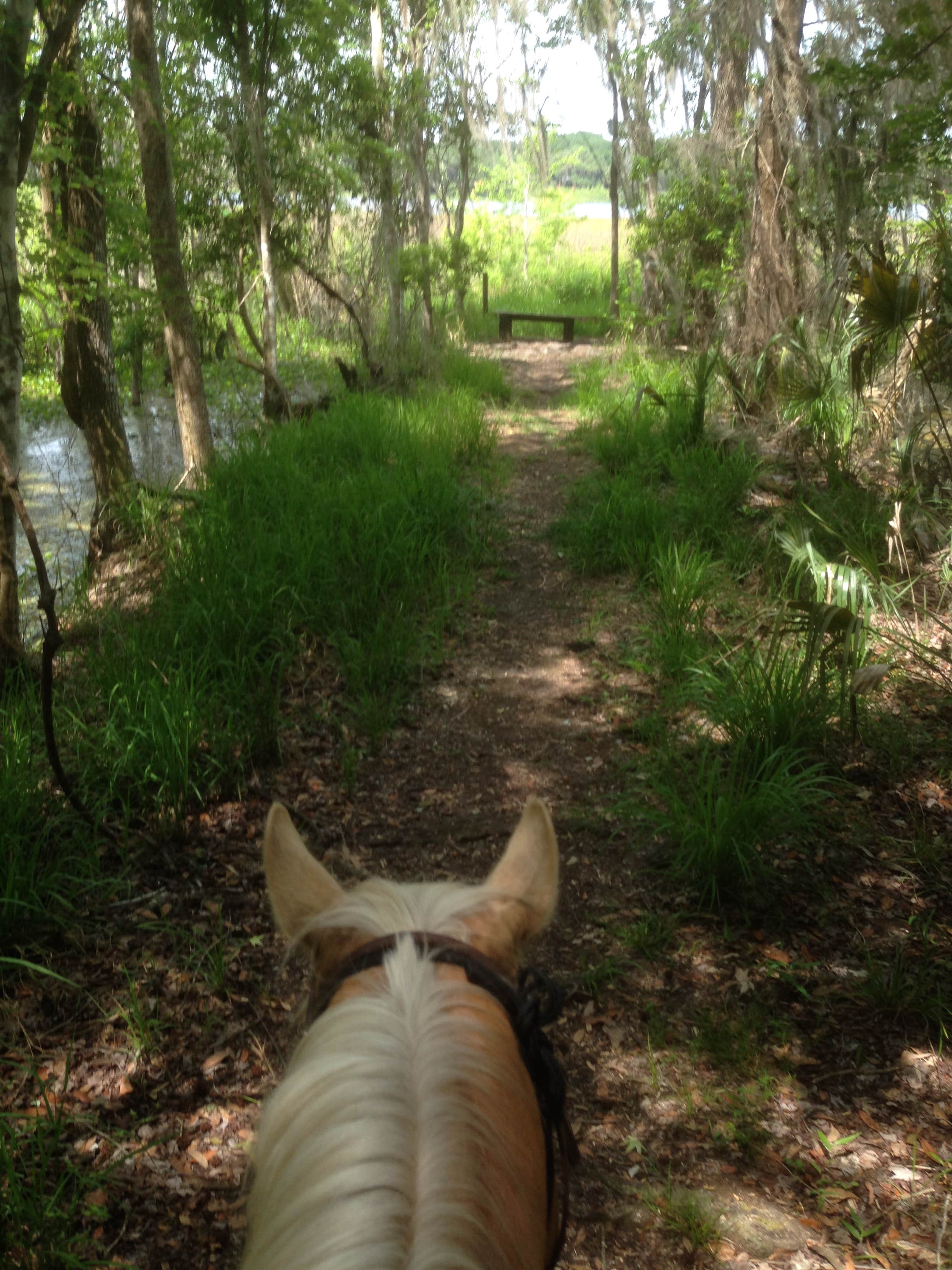 Ross Prairie Campground | Dunnellon, FL