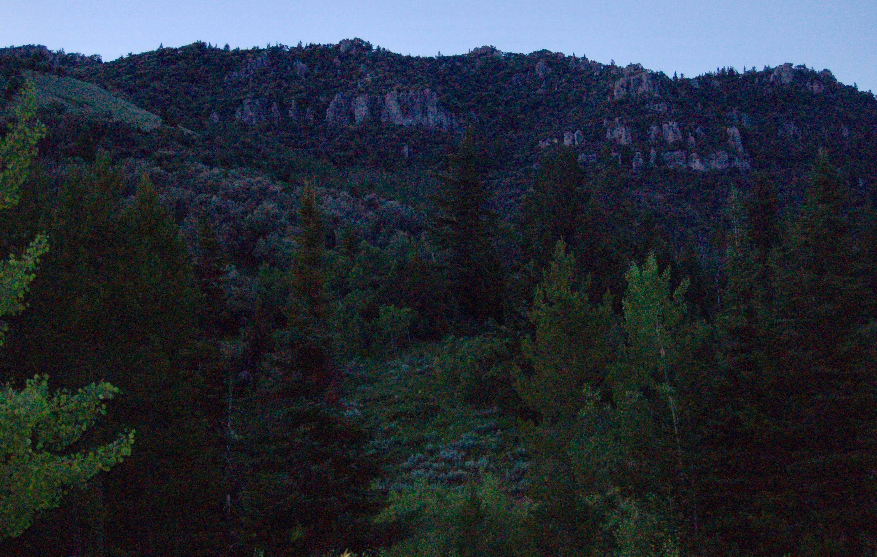 Porcupine (ID) Camping | Duck creek, UT