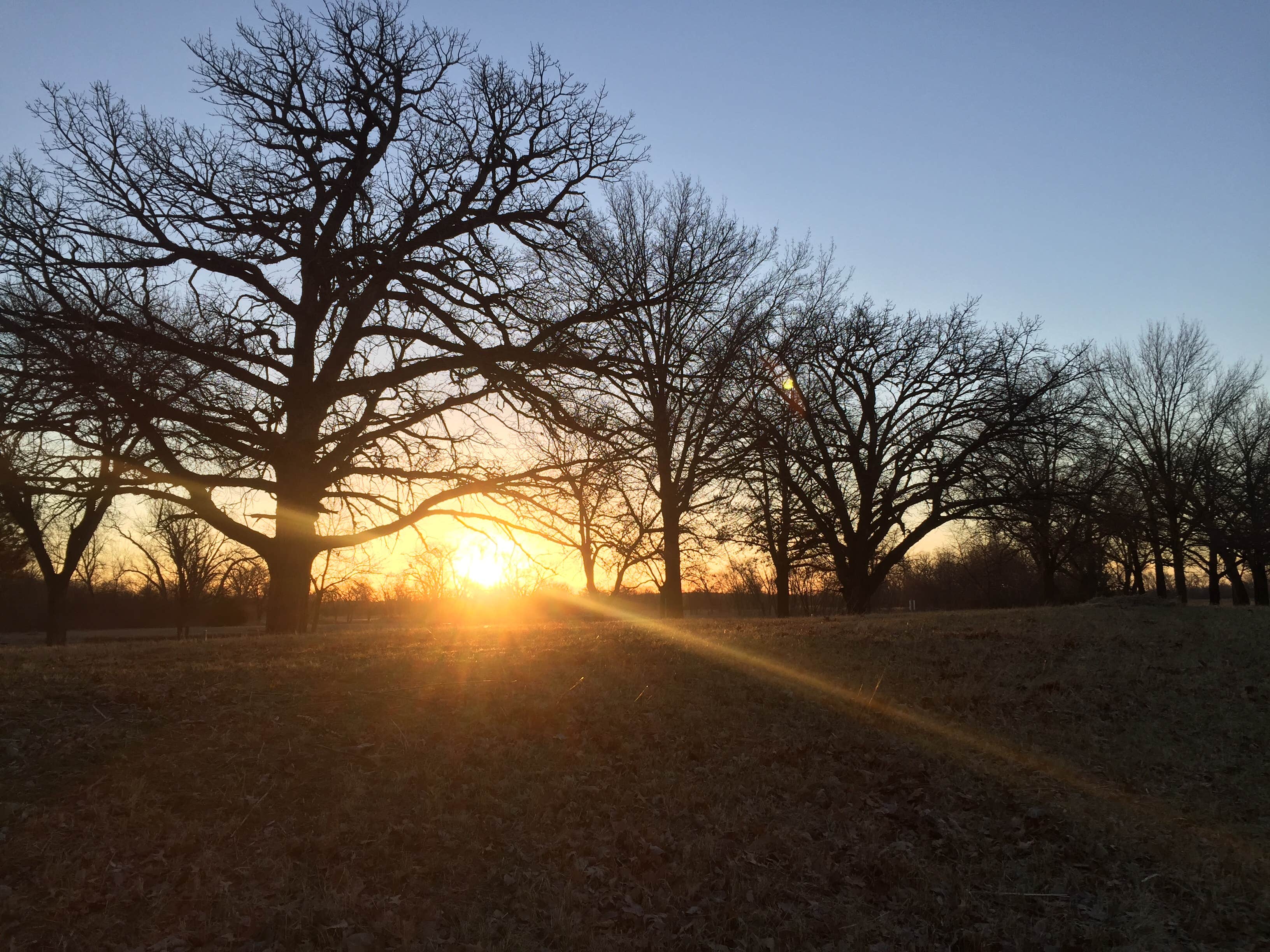Union Pacific Cabooses — Two Rivers SRA Camping | Waterloo, Nebraska