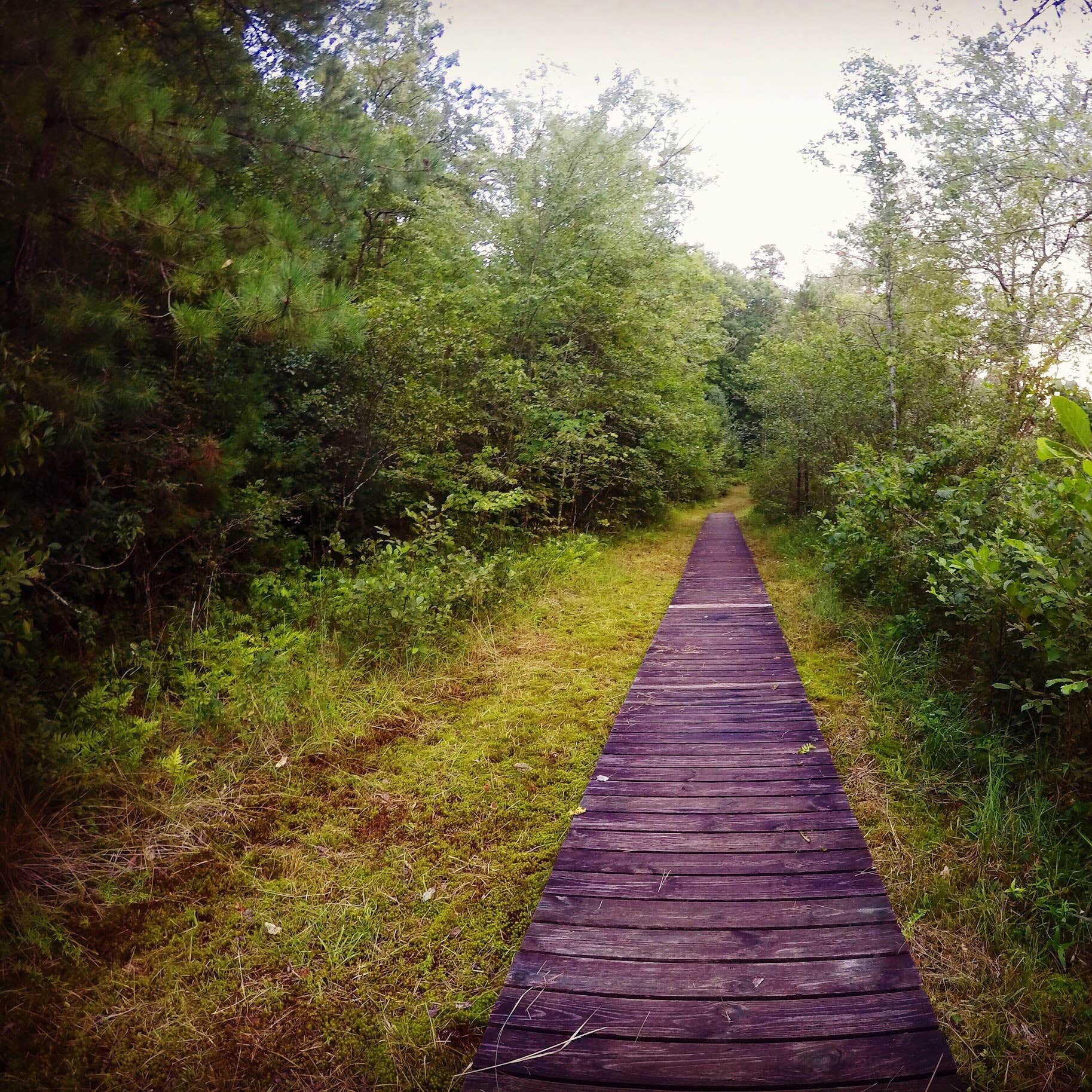 Oconee State Park Camping | The Dyrt