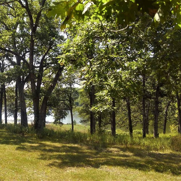 Deer Ridge Conservation Area Camping | The Dyrt