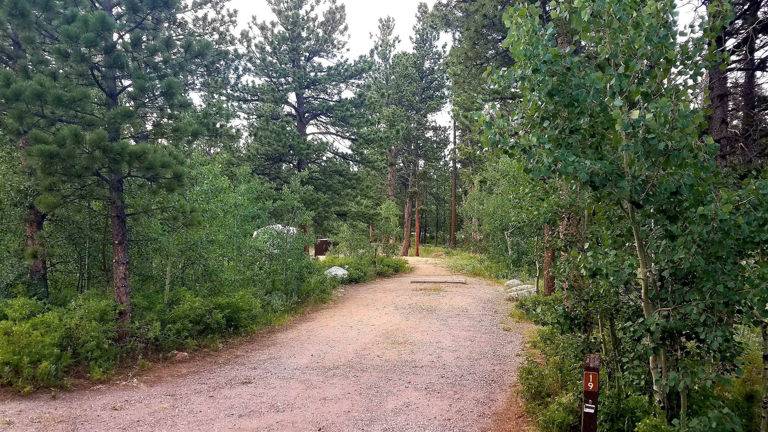 Olive Ridge | The Dyrt