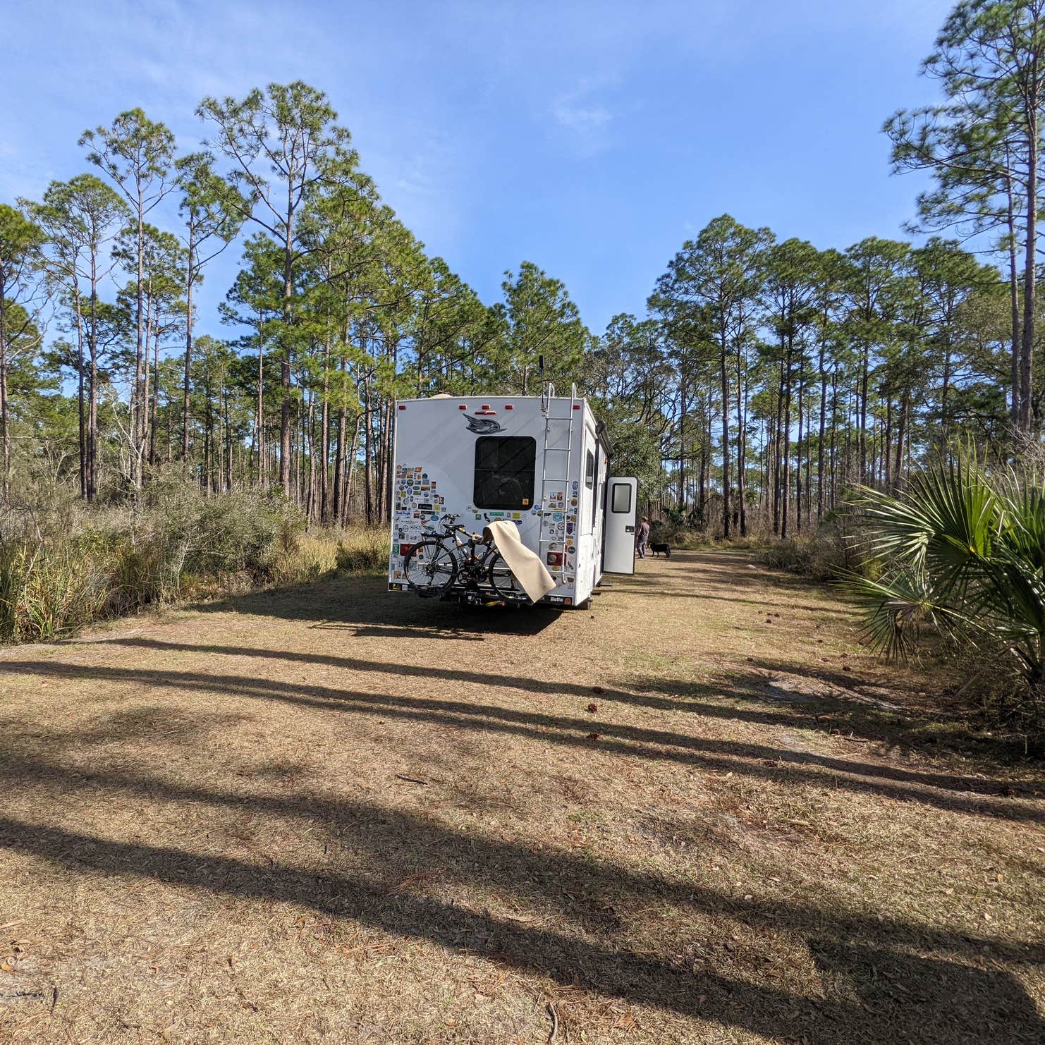 Tate's Hell State Forest High Bluff Primitive Campsites, FL | Eastpoint, FL