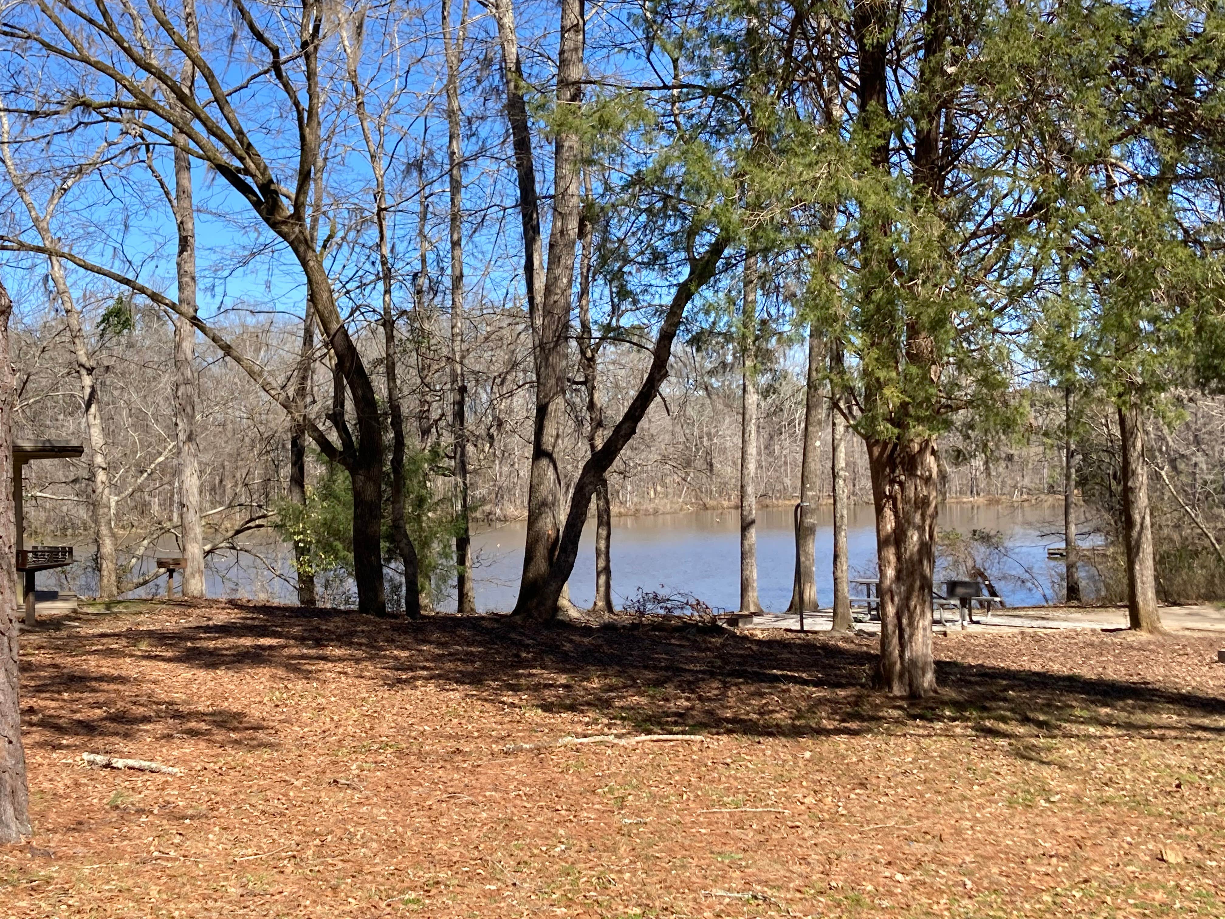 Prairie Creek Campground | Selma, Alabama