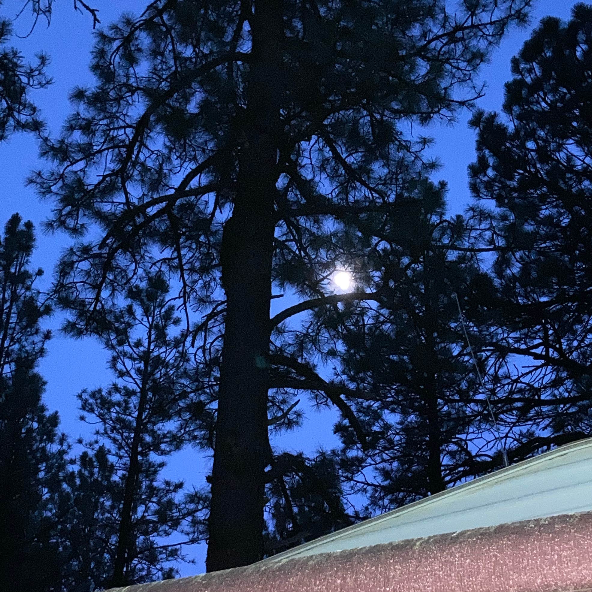 Pendaries RV Resort | Rociada, New Mexico