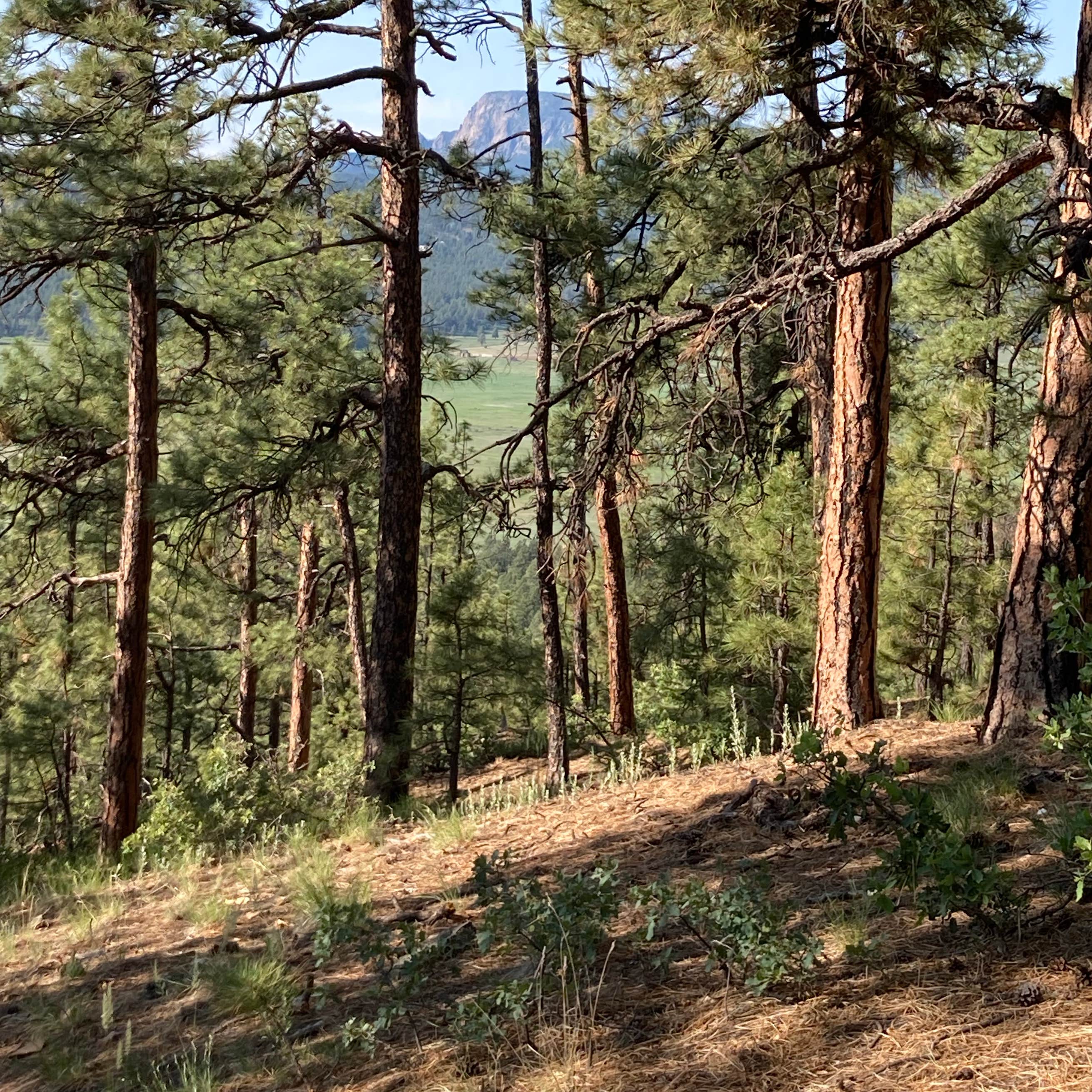 Pendaries RV Resort | Rociada, New Mexico