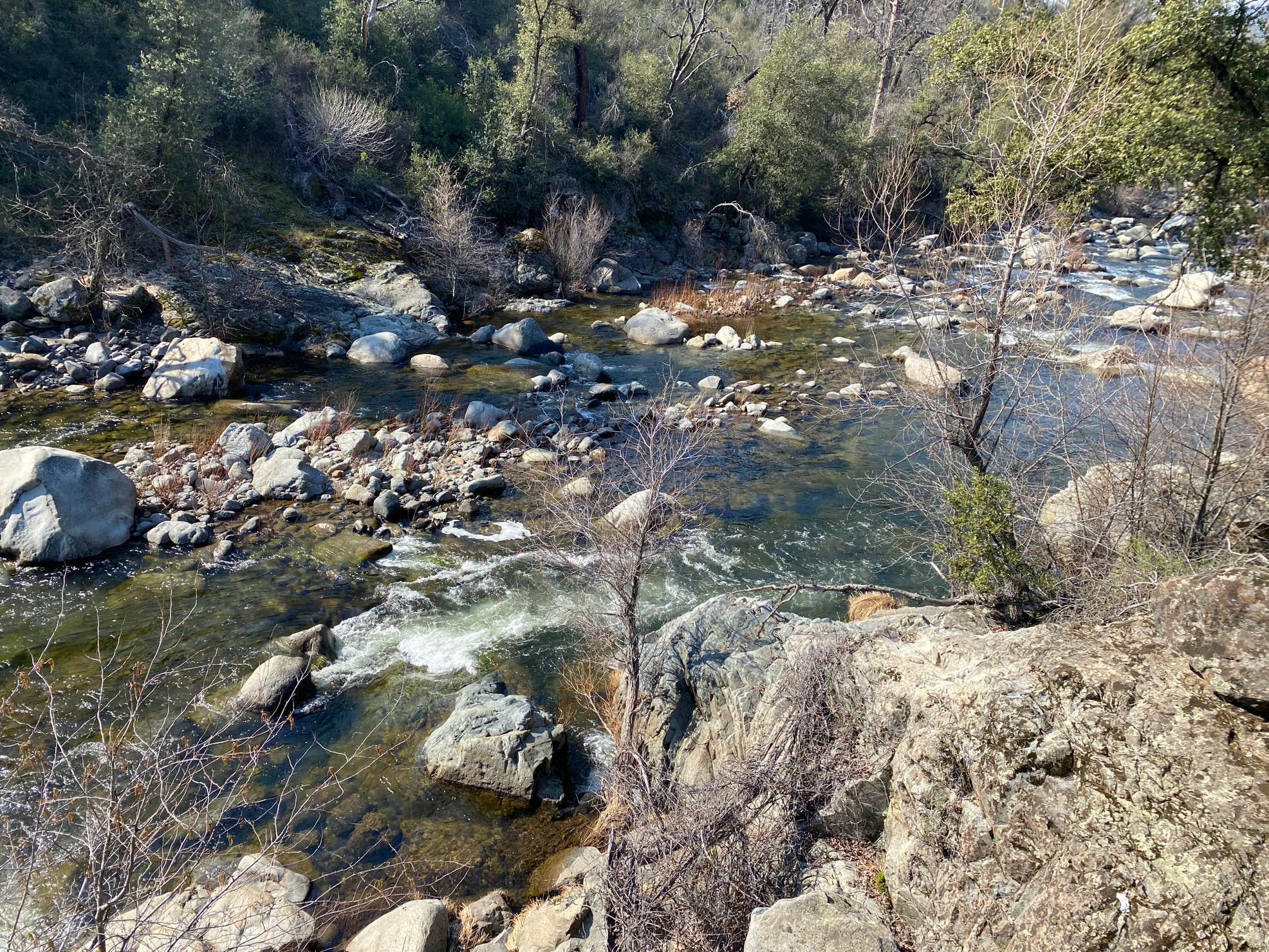 South Fork Campground Camping | The Dyrt