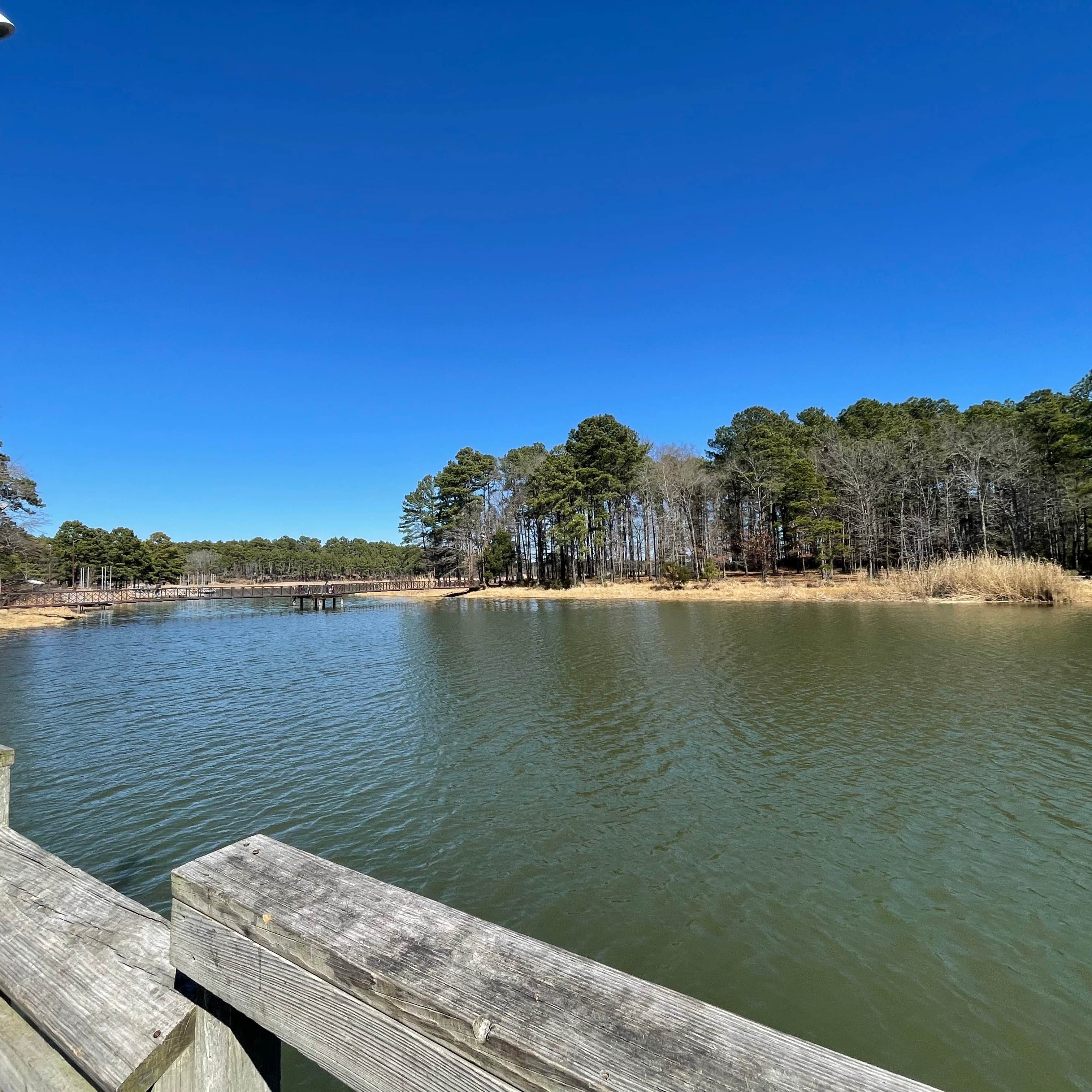 Martin Creek Lake State Park Campground | Tatum, TX