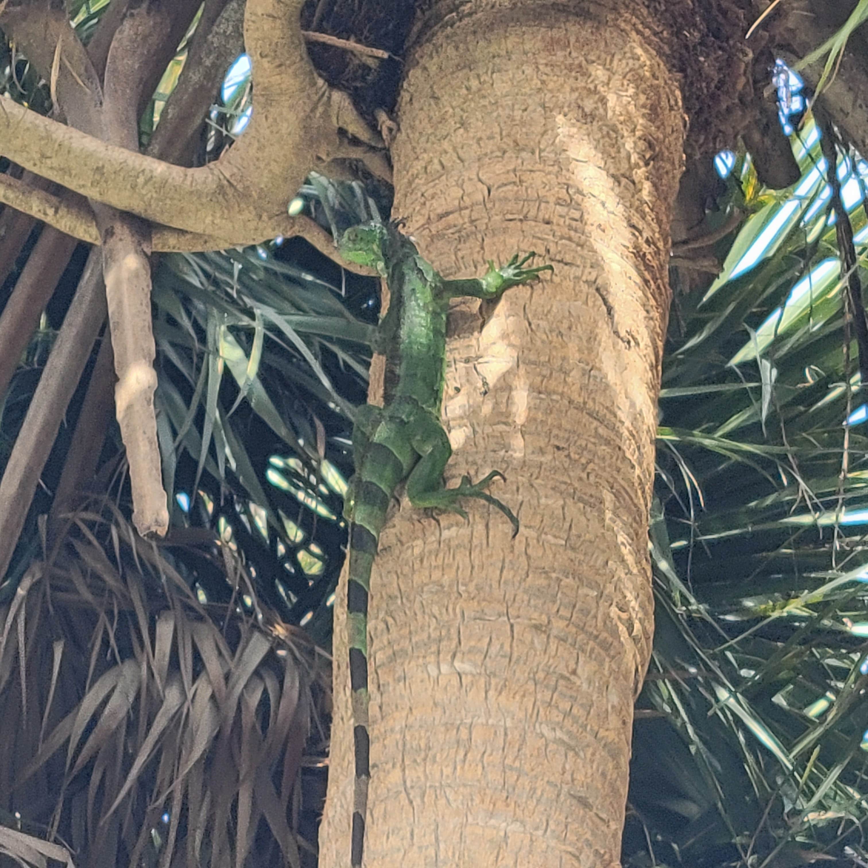 Topeekeegee Yugnee Park Campground Camping | The Dyrt