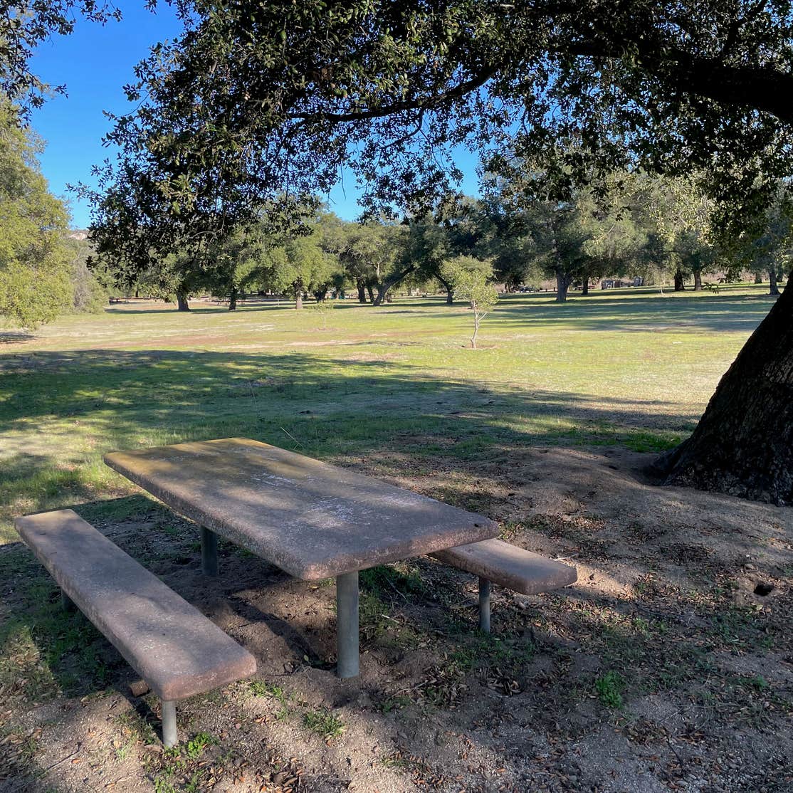 San Diego County Potrero Regional Park Camping | Potrero, California