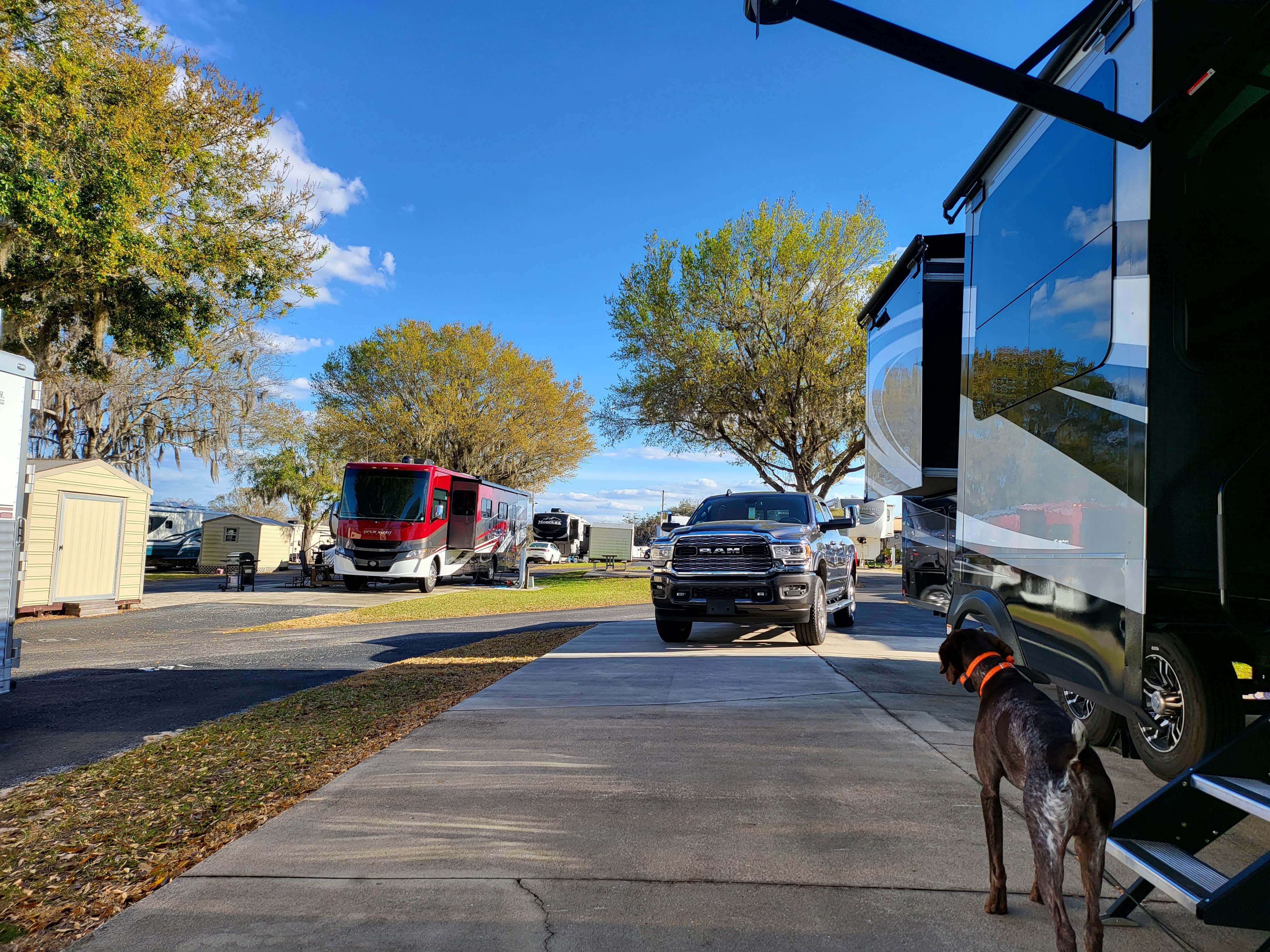 Grand Lake RV & Golf Resort, A Sun RV Resort | Citra, FL