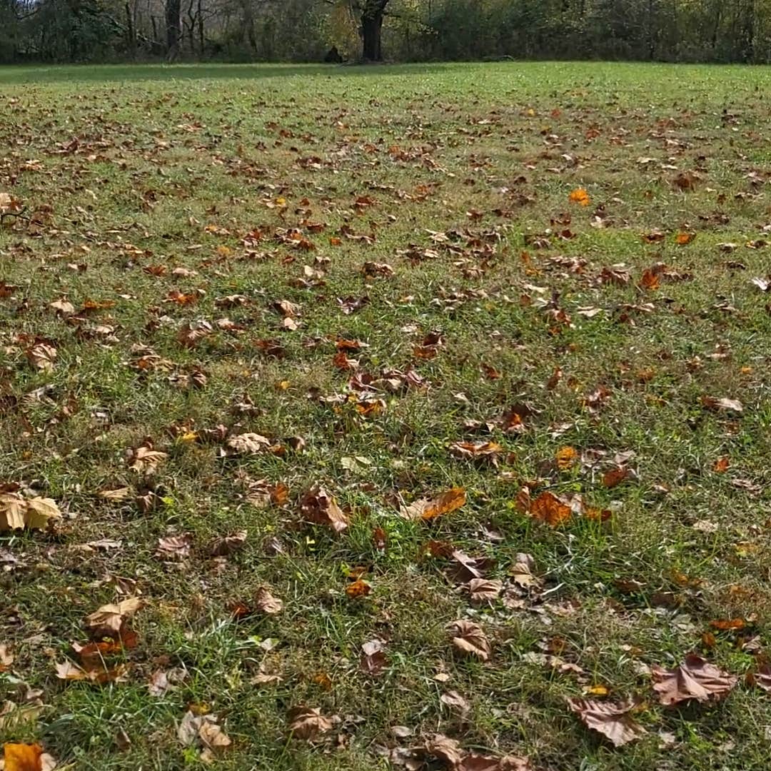 James River Wildlife Management Area - Dispersed Camping | Wingina ...