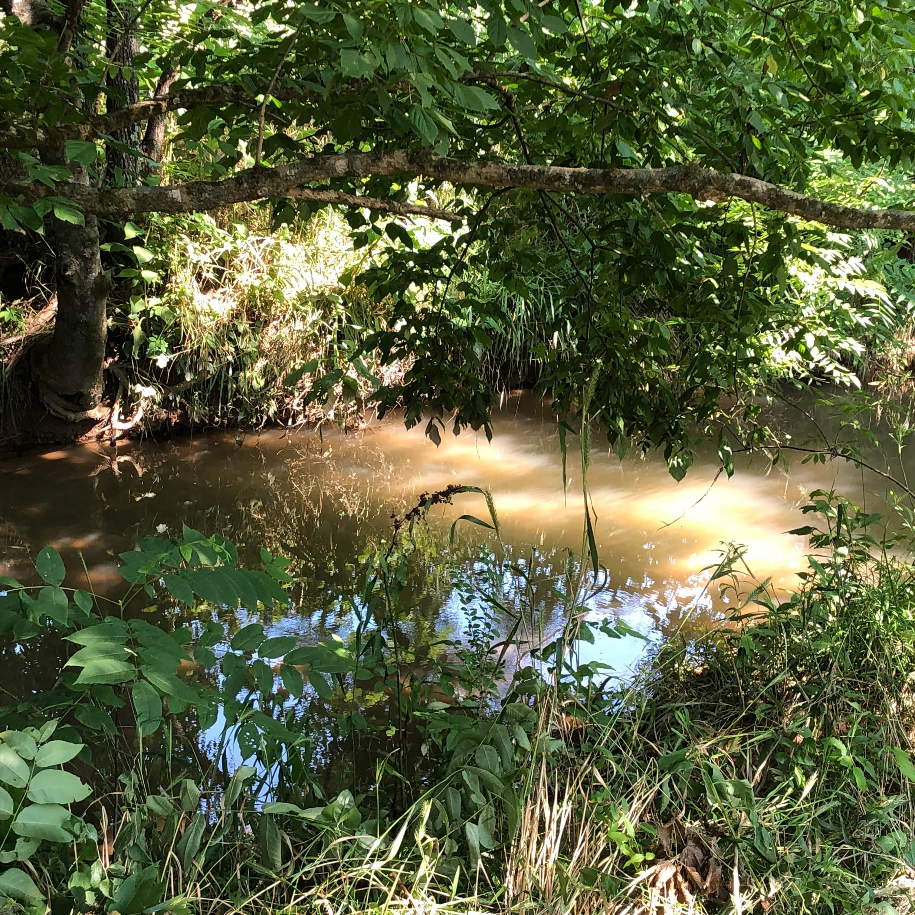 Furryfeathers Farm Camping | The Dyrt