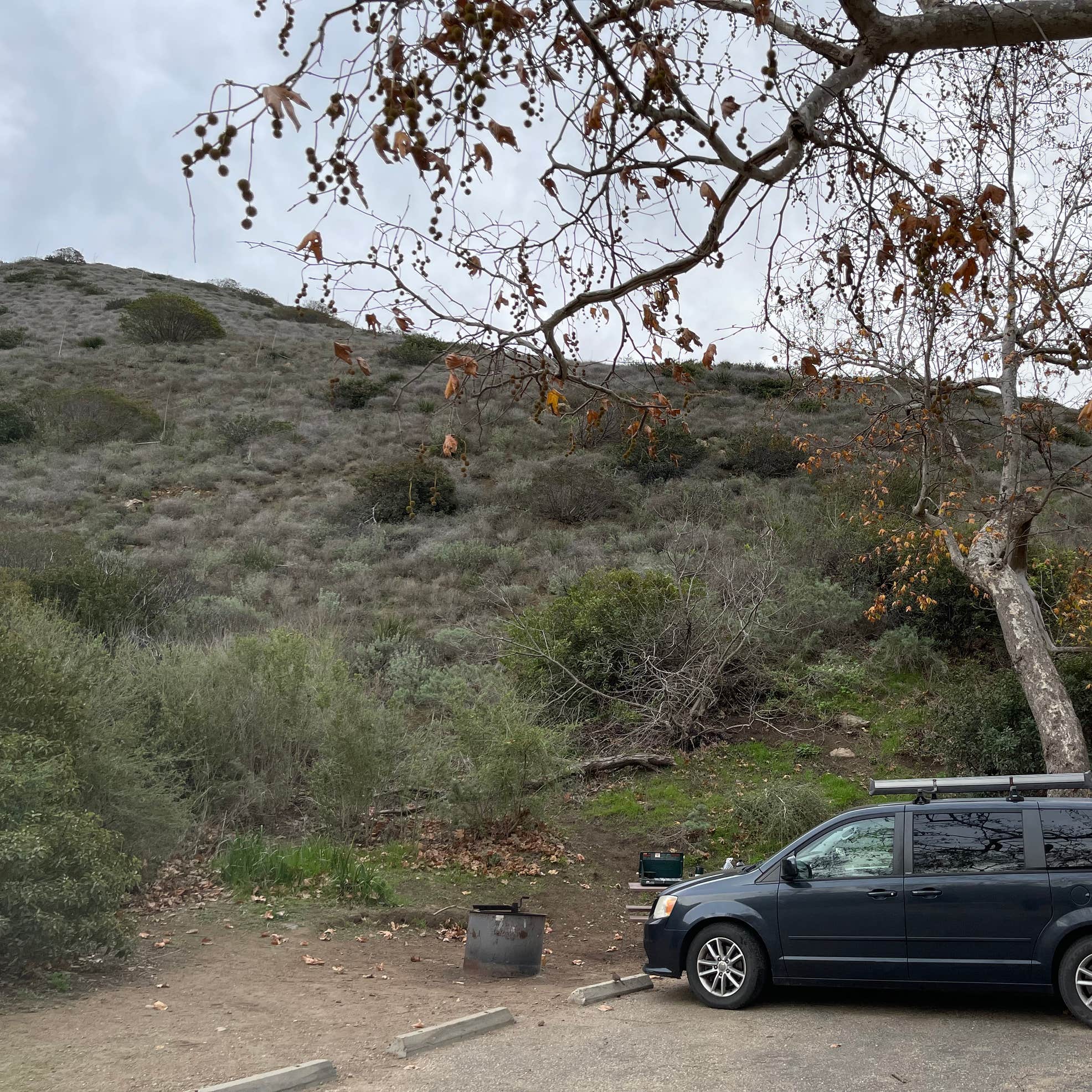 Point Mugu State Park Camping | The Dyrt