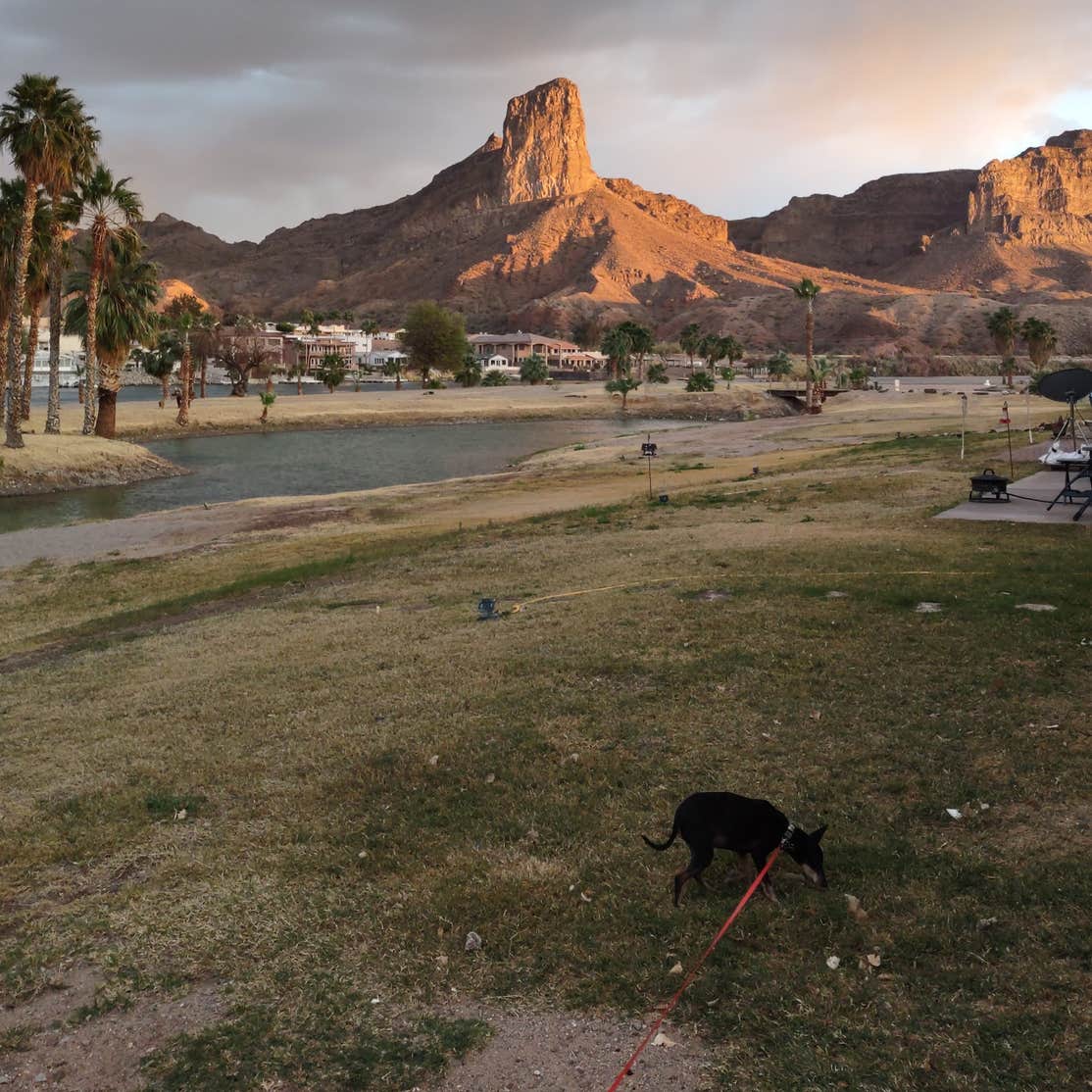 River Lodge Resort Camping | Parker Dam, CA