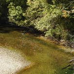 Anglers White River Resort Camping | The Dyrt