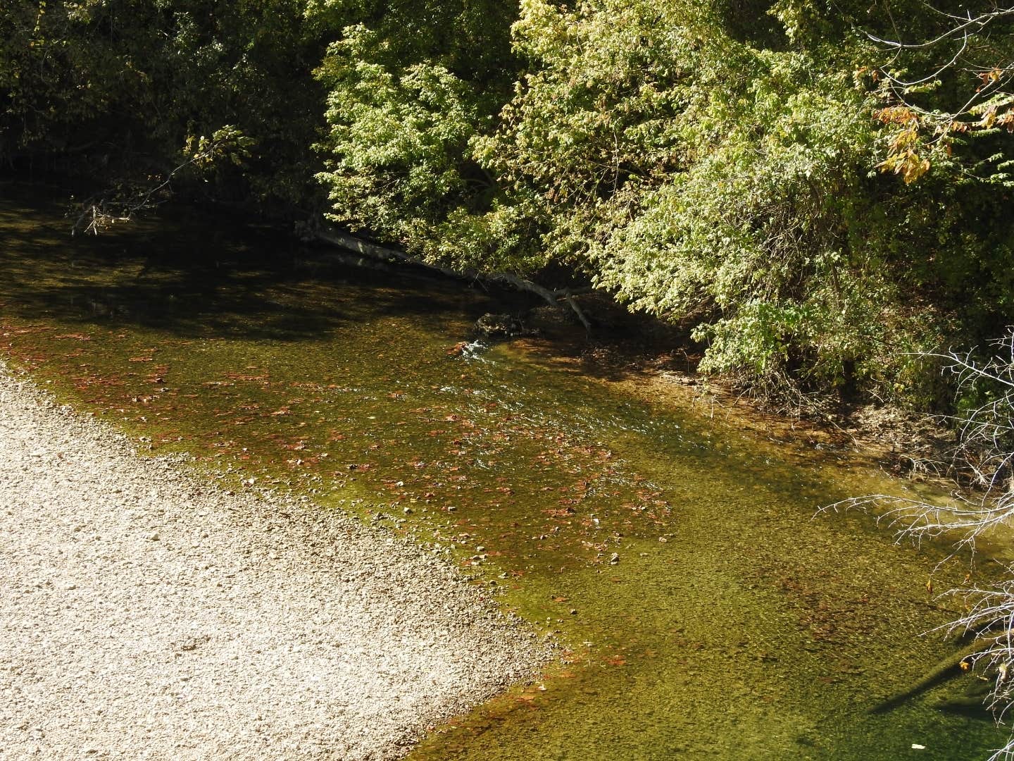 Anglers White River Resort Camping | The Dyrt