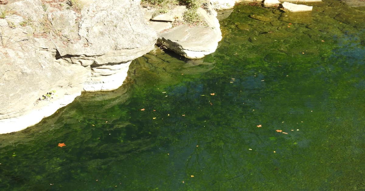 Anglers White River Resort Camping | Mountain VIew, AR