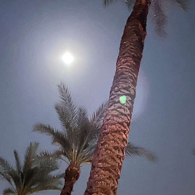 Encore Palm Springs Oasis Camping | Rancho Mirage, California