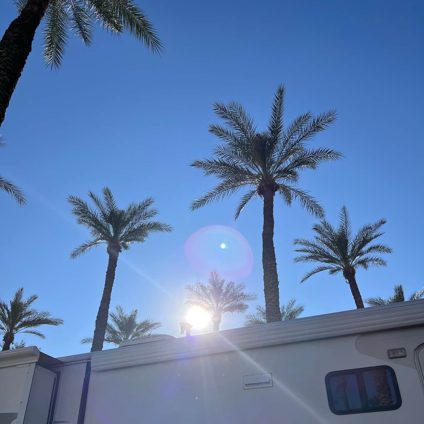 Encore Palm Springs Oasis Camping | Rancho Mirage, California