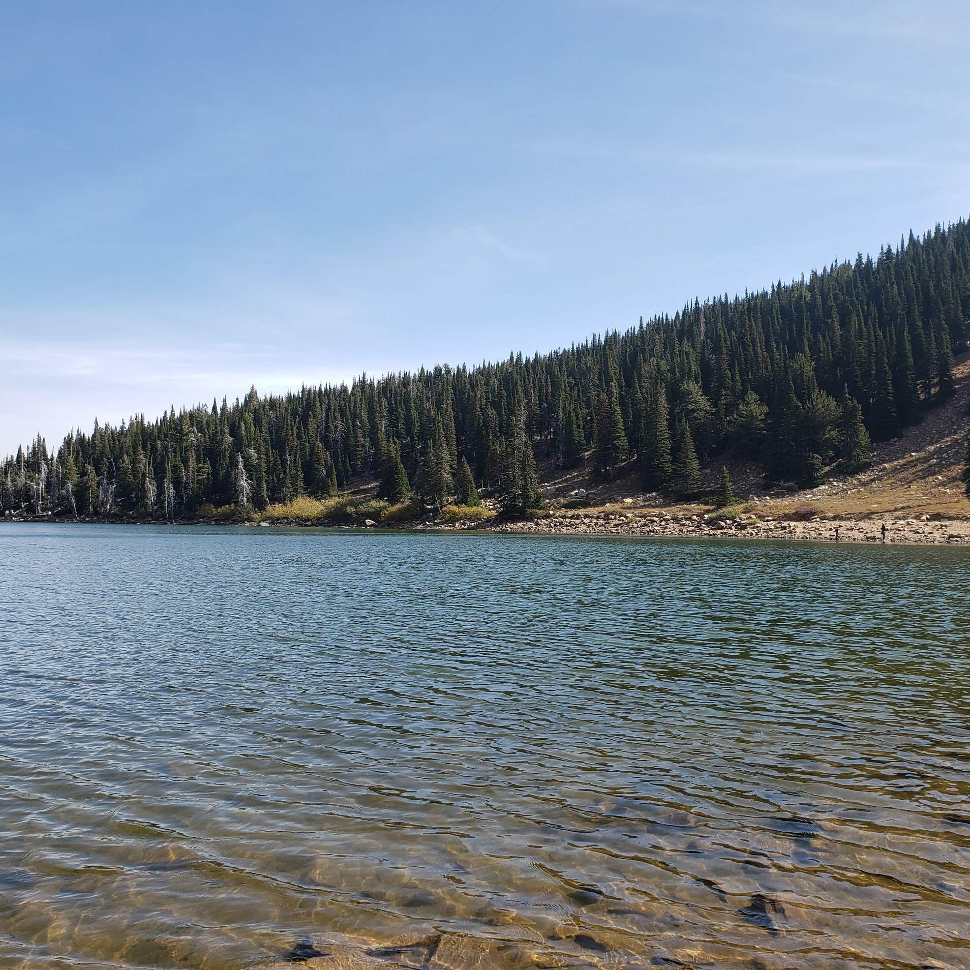 Thompson Flat Campground Camping | The Dyrt