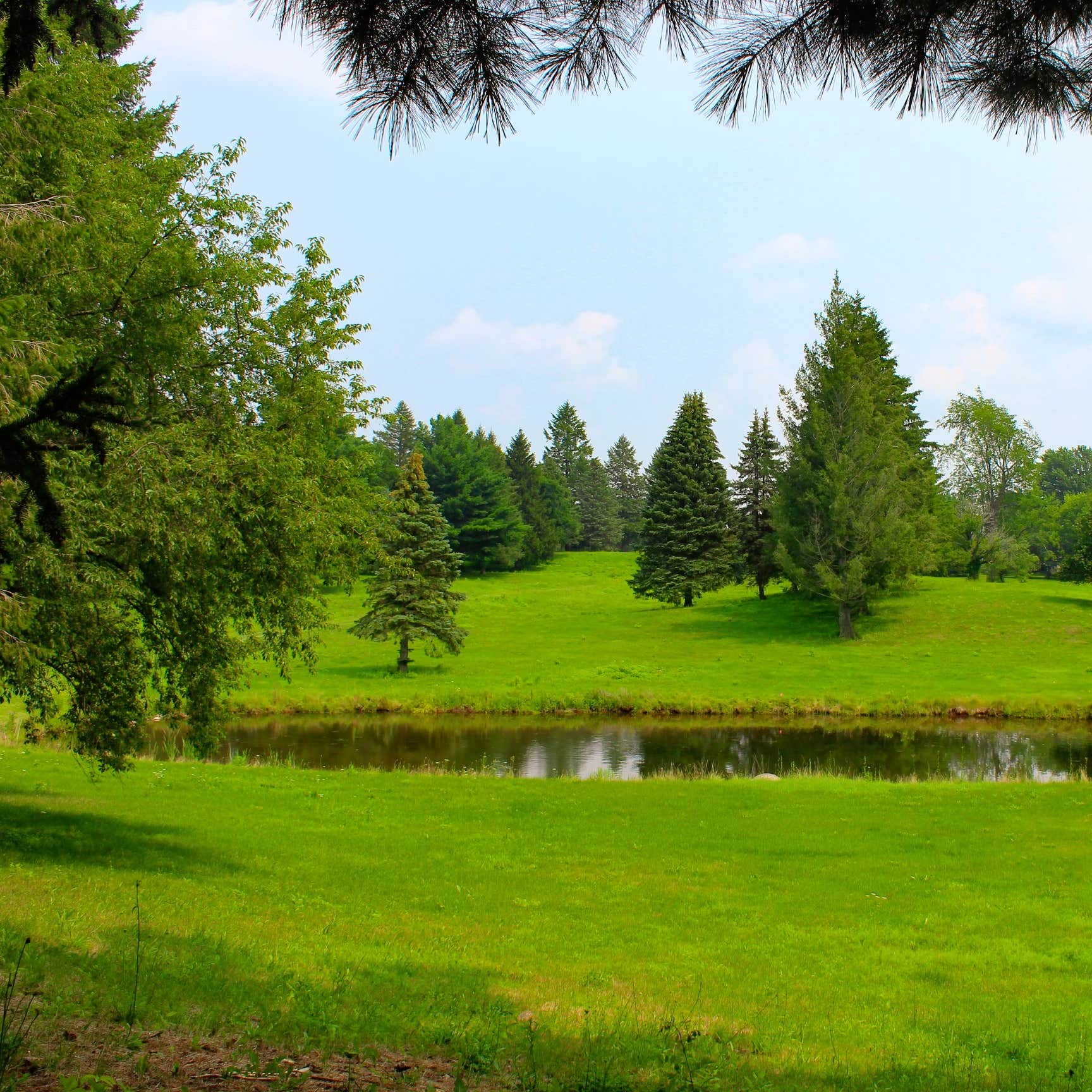 Big Guys Campground | Holley, New York