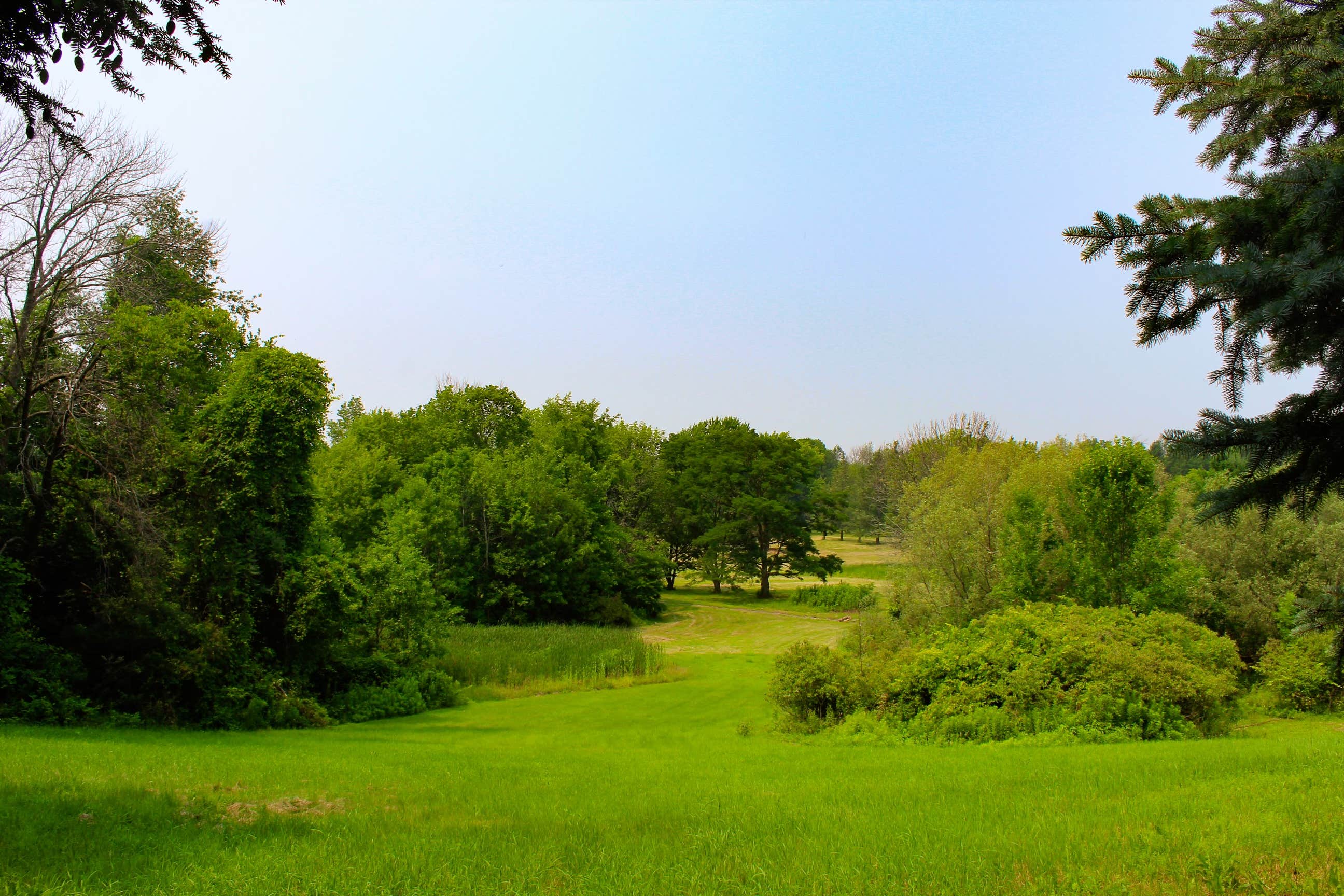 Big Guys Campground | Holley, NY